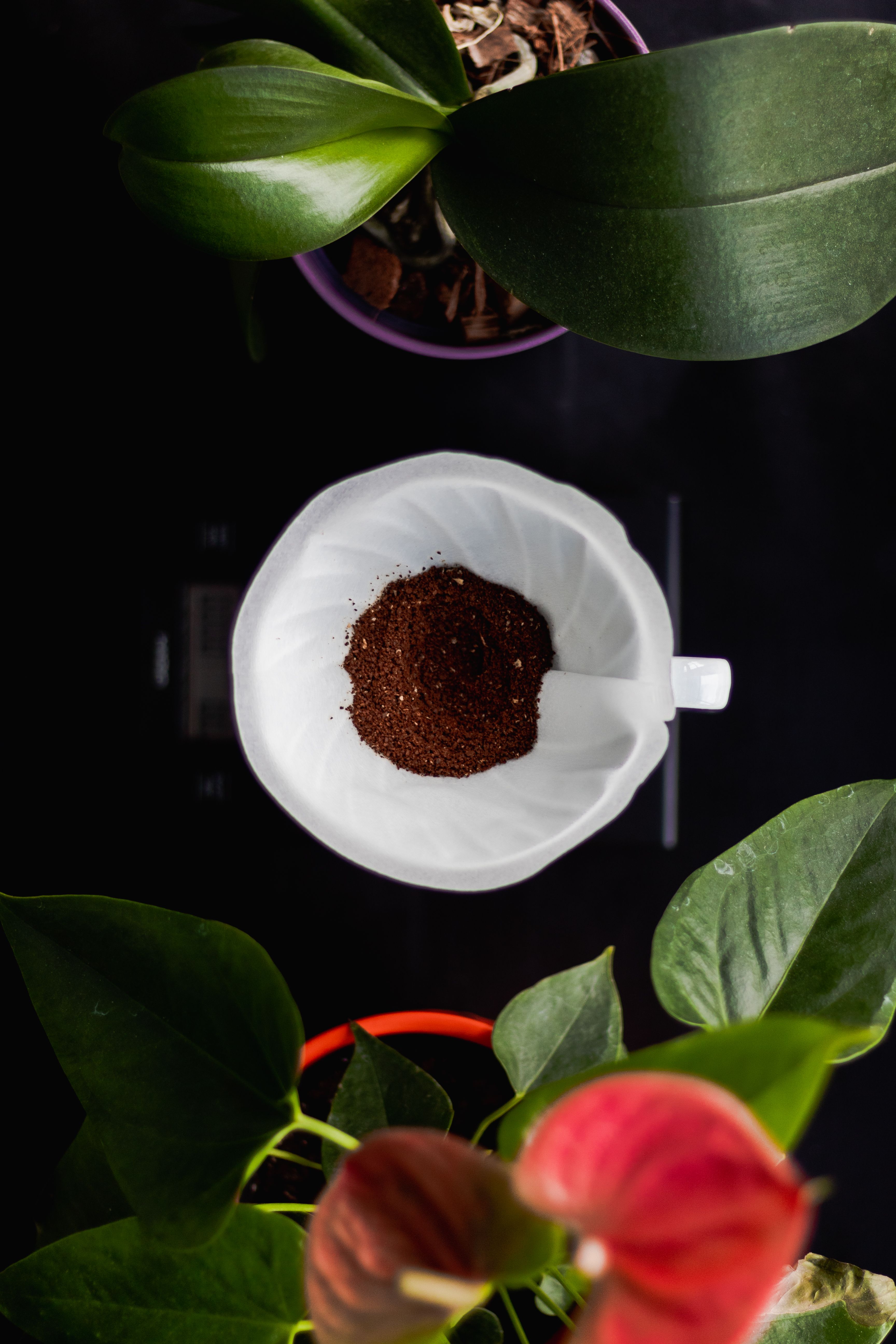Ground Coffee on the Coffee Filter · Free Stock Photo