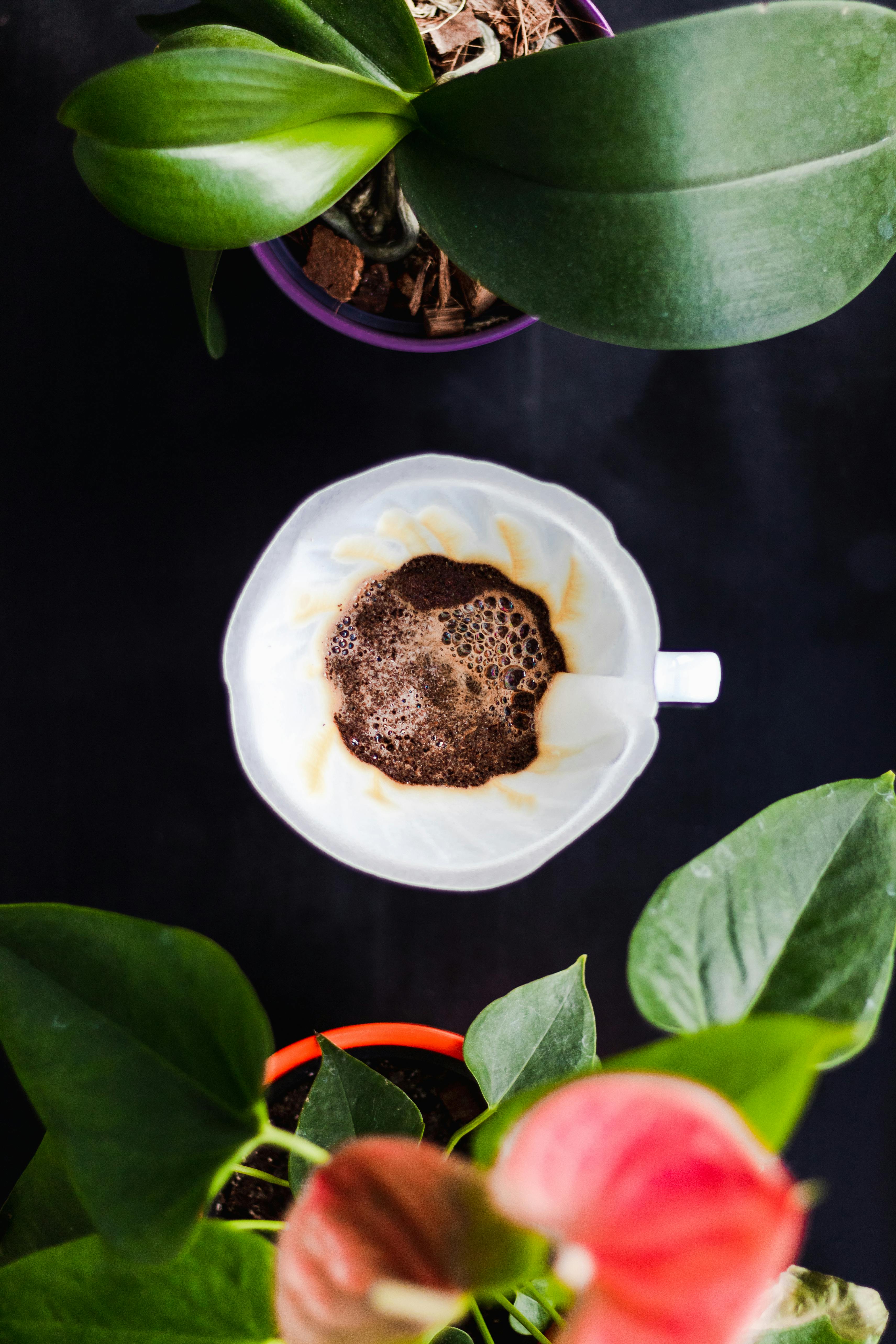 White Ceramic Cup With Brown Liquid on White Ceramic Saucer · Free ...