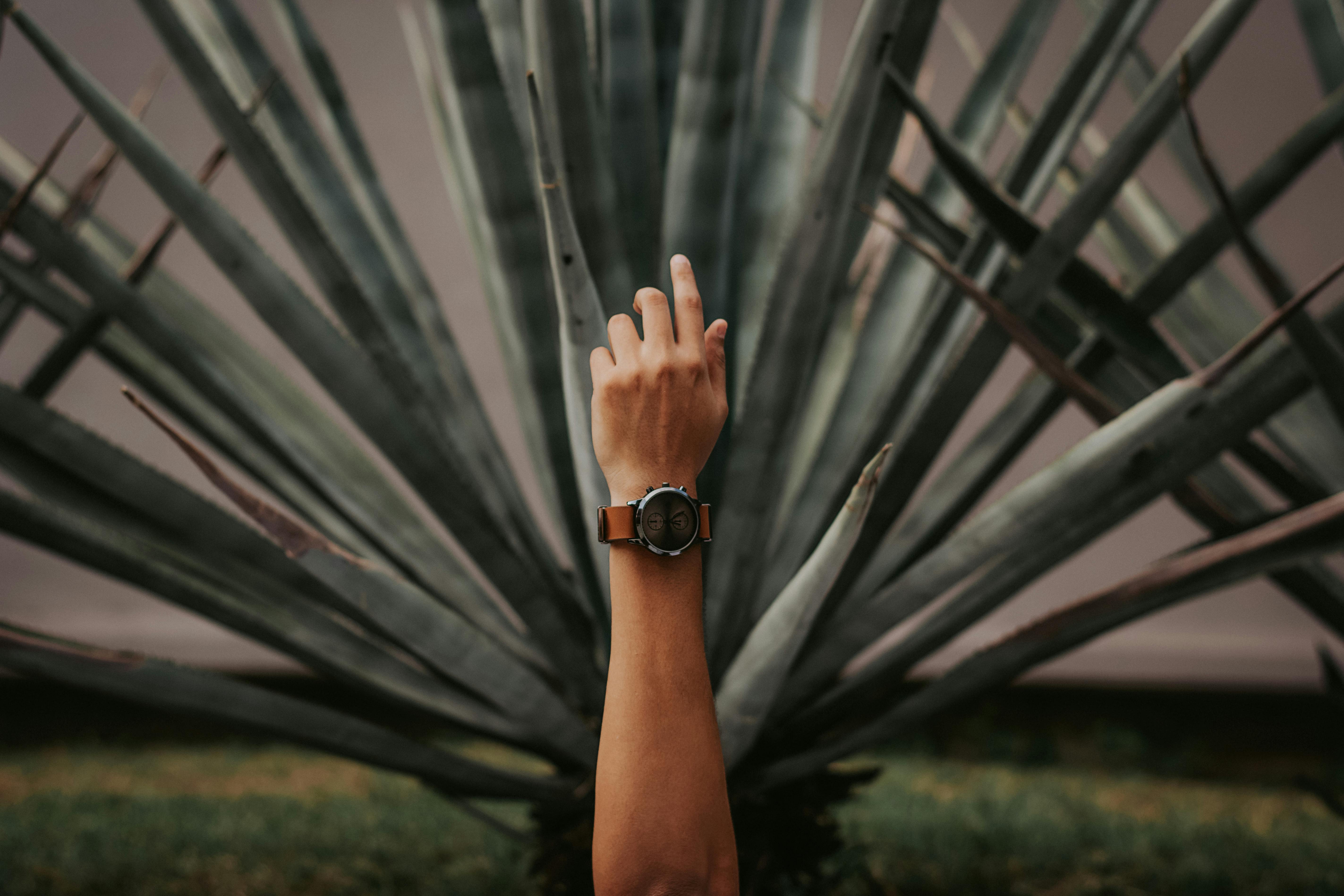 Person Wearing a Wristwatch · Free Stock Photo