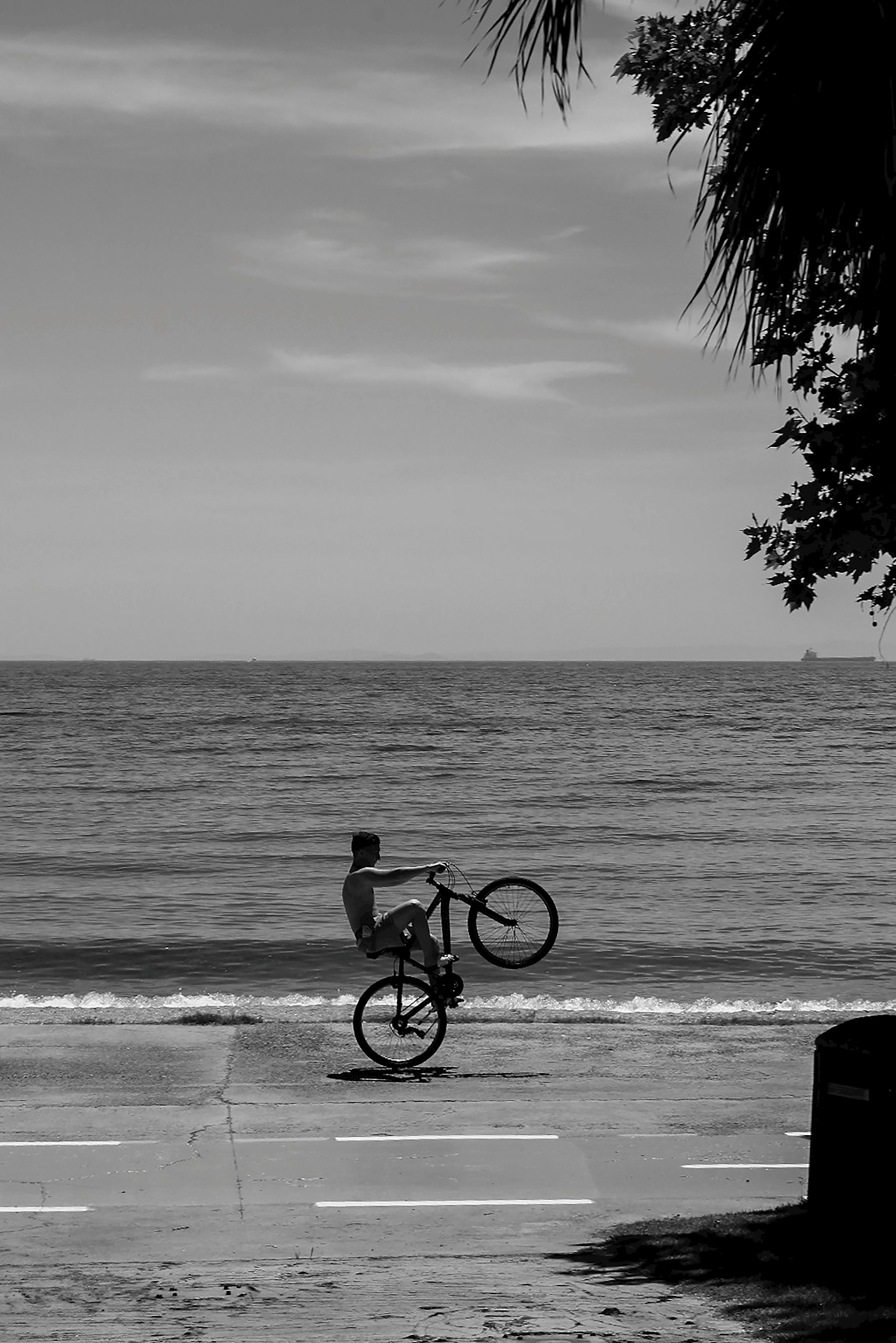 10,000+ Best Bike Riding Photos · 100% Free Download · Pexels Stock Photos