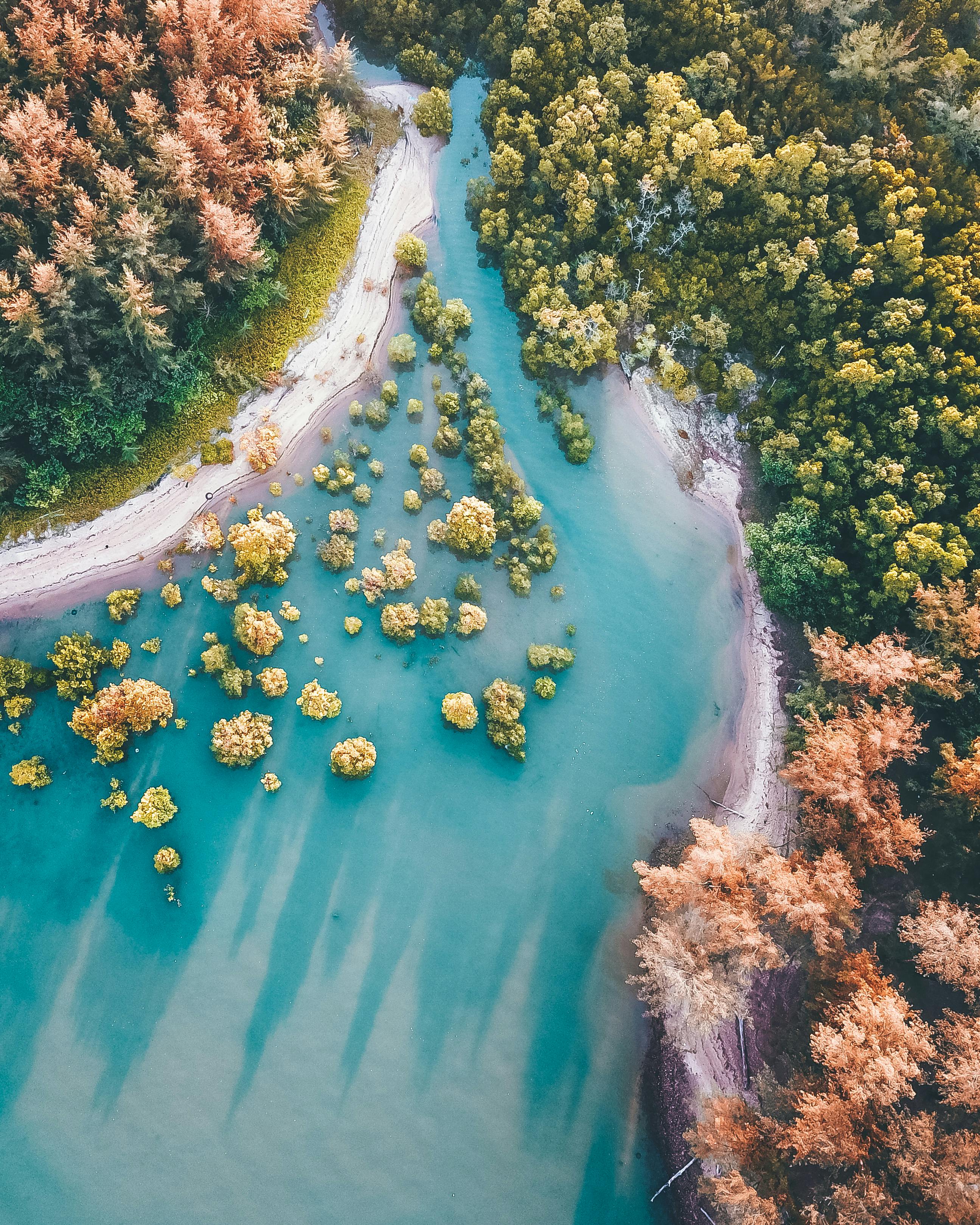 Aerial View of Green Trees and River · Free Stock Photo