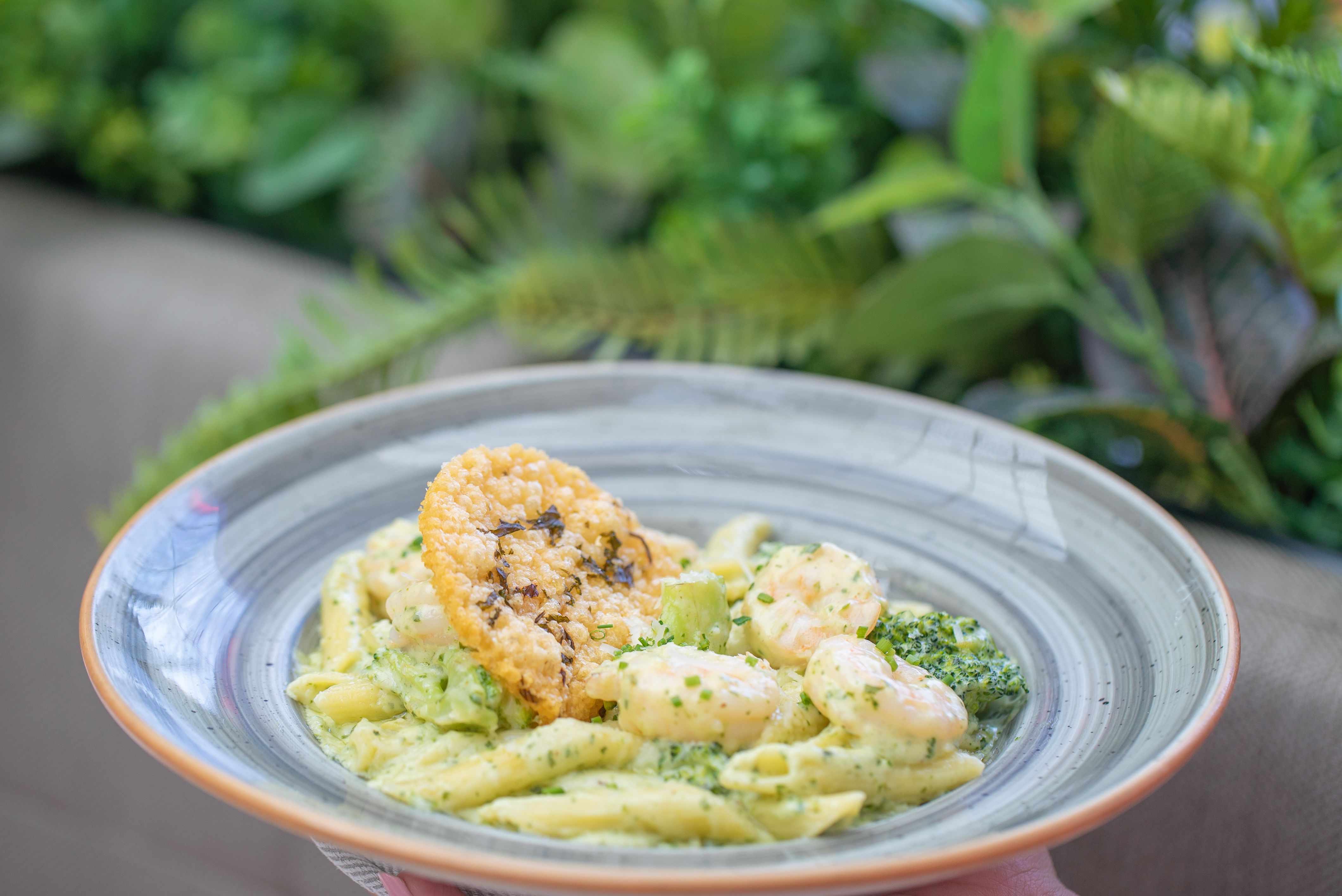 Pasta on Round Plate · Free Stock Photo