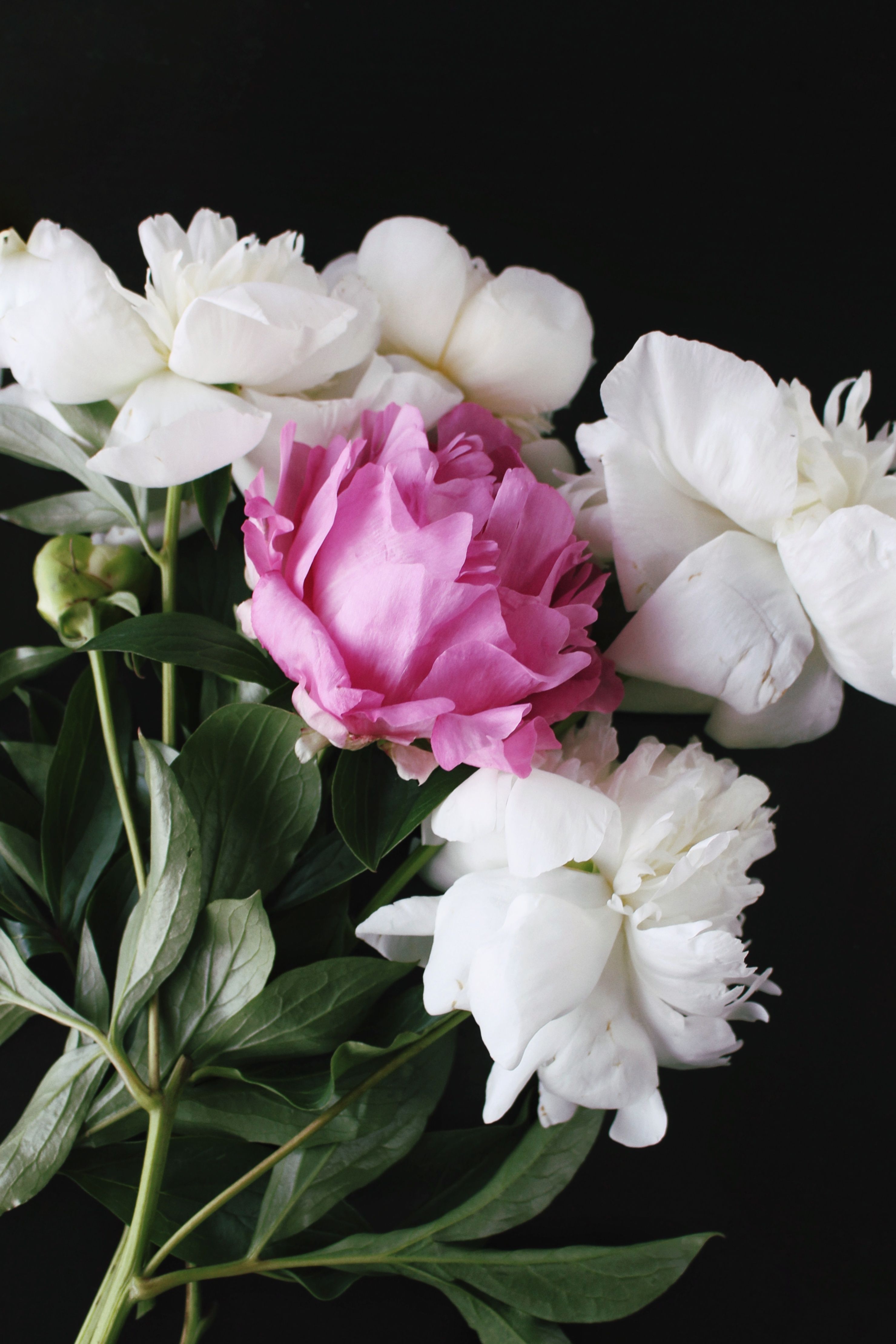 Selective Focus Photography of White Cluster Flower in Clear Glass Vase ...