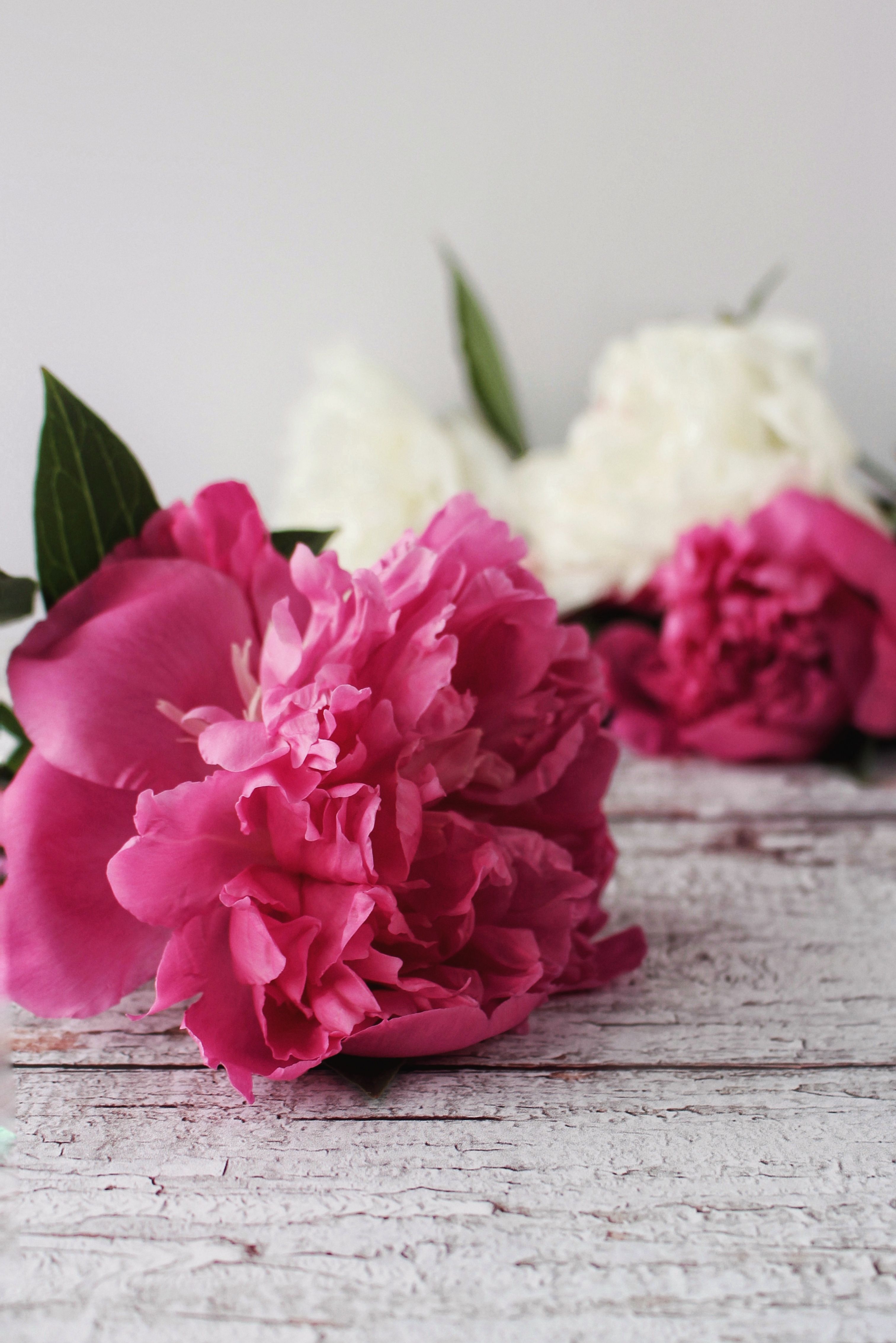 Pink Flower Bouquet · Free Stock Photo