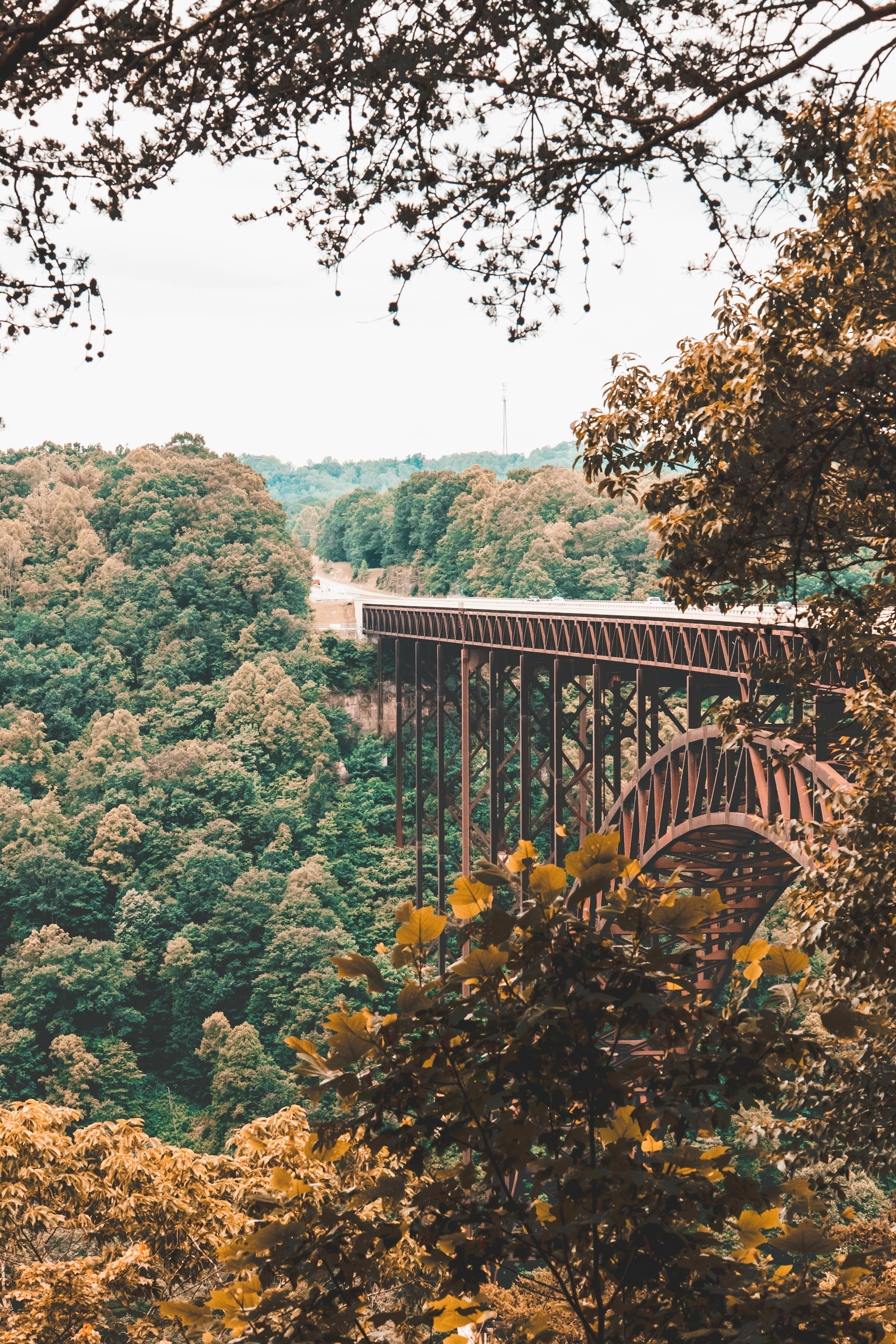 Brown Wooden Bridge over Green Trees · Free Stock Photo