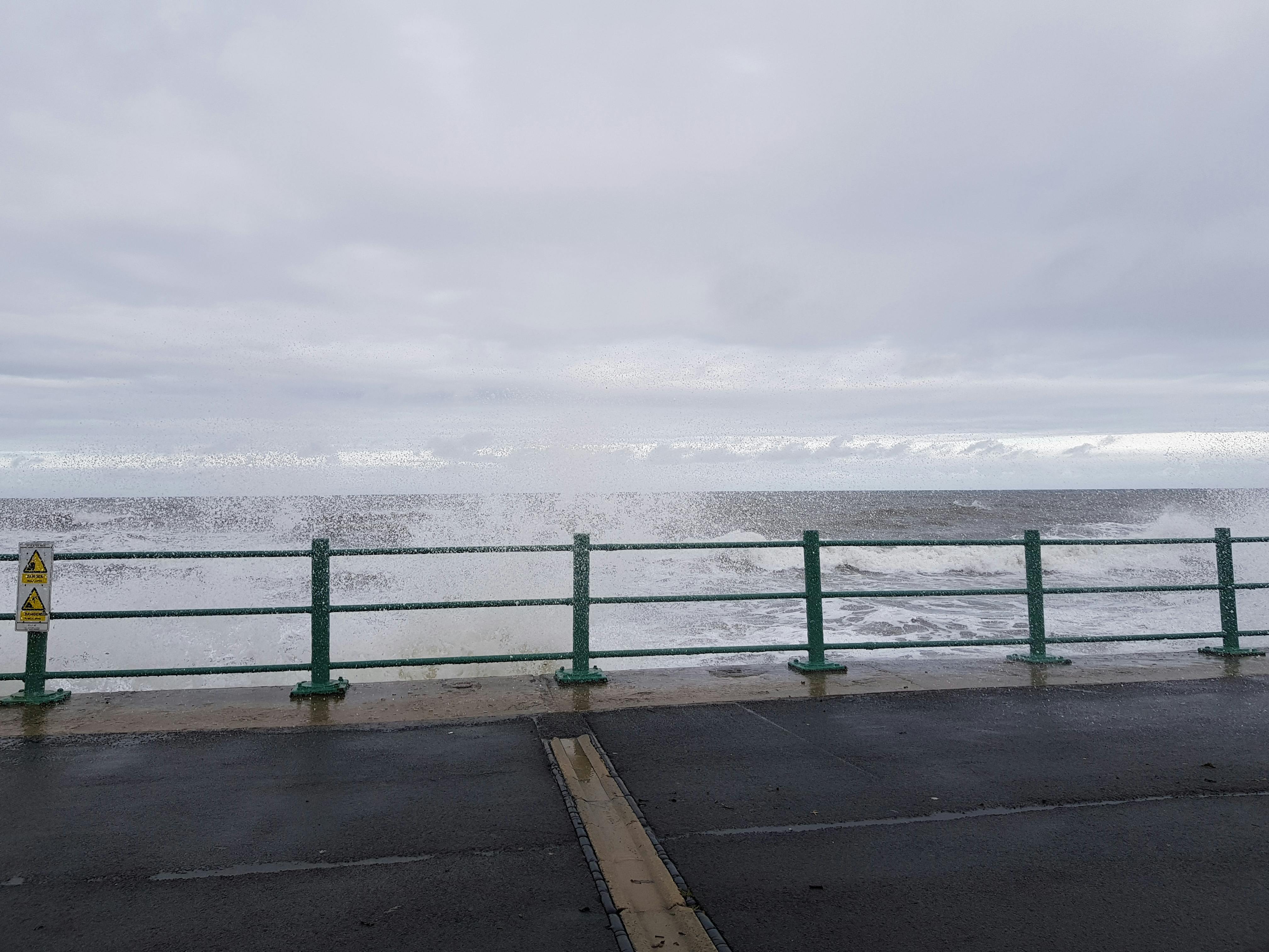 Elizabeth Sumner - 摄影