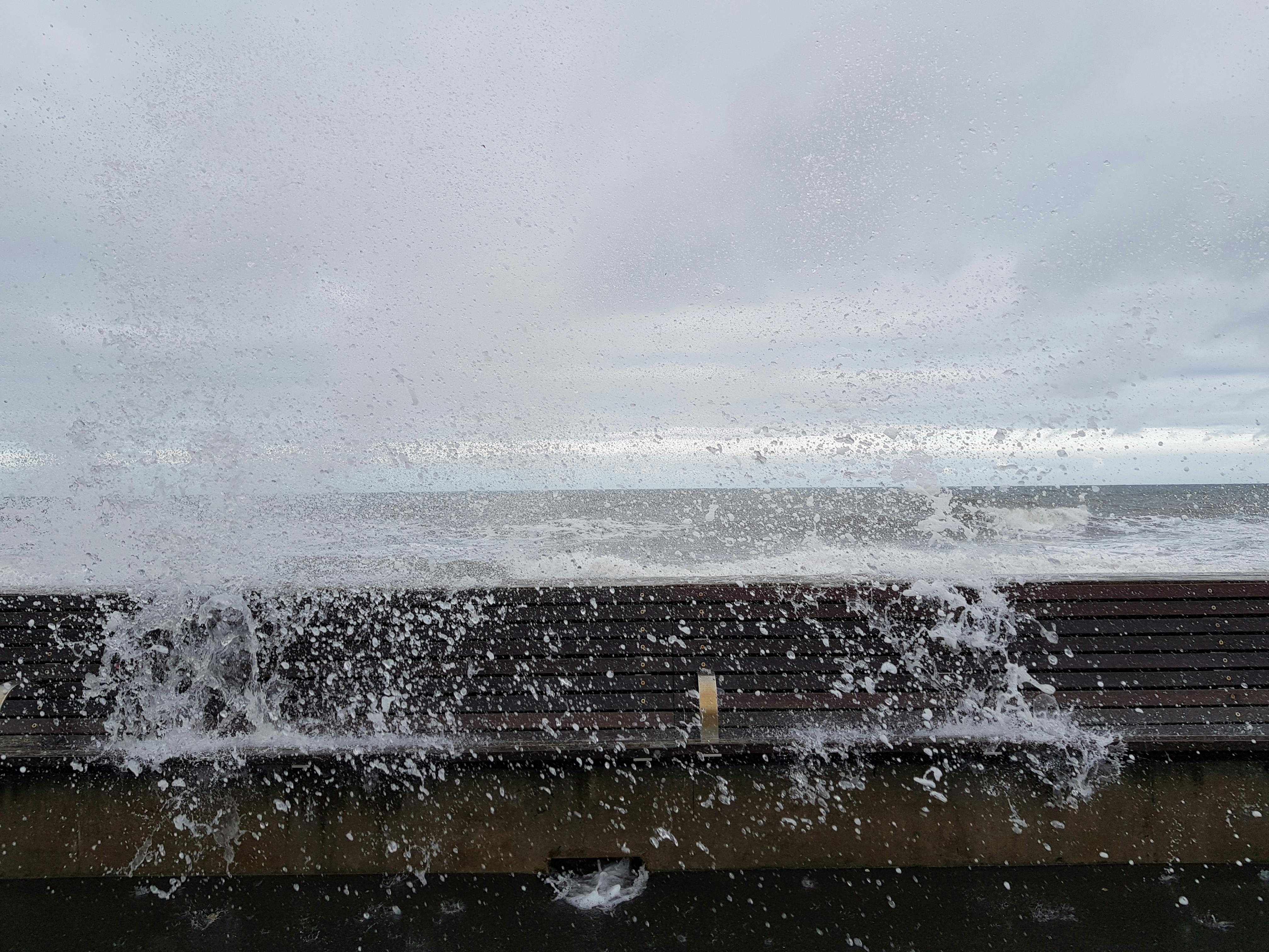 Elizabeth Sumner - 摄影