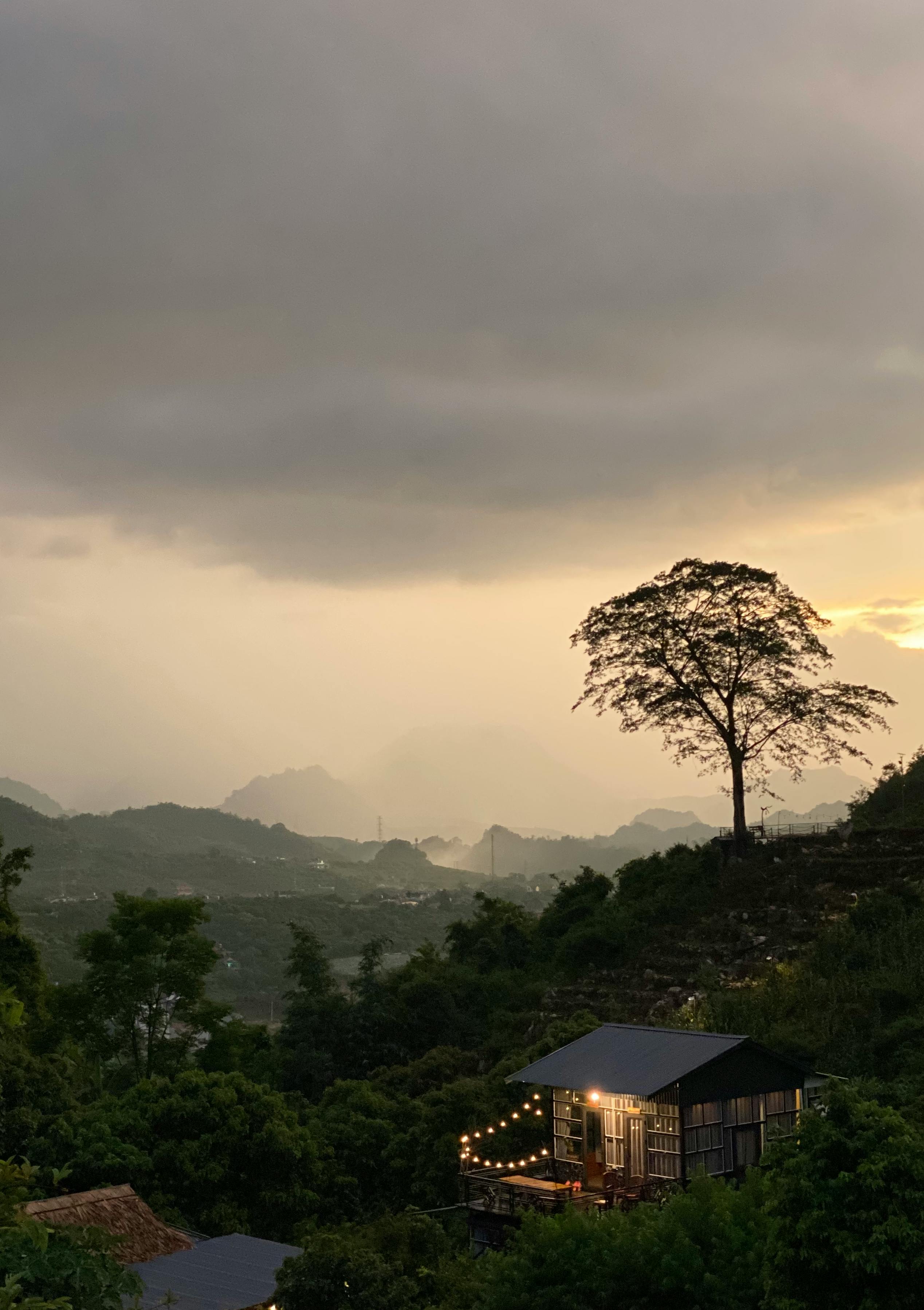 Villa In Forest Photos, Download The BEST Free Villa In Forest Stock ...