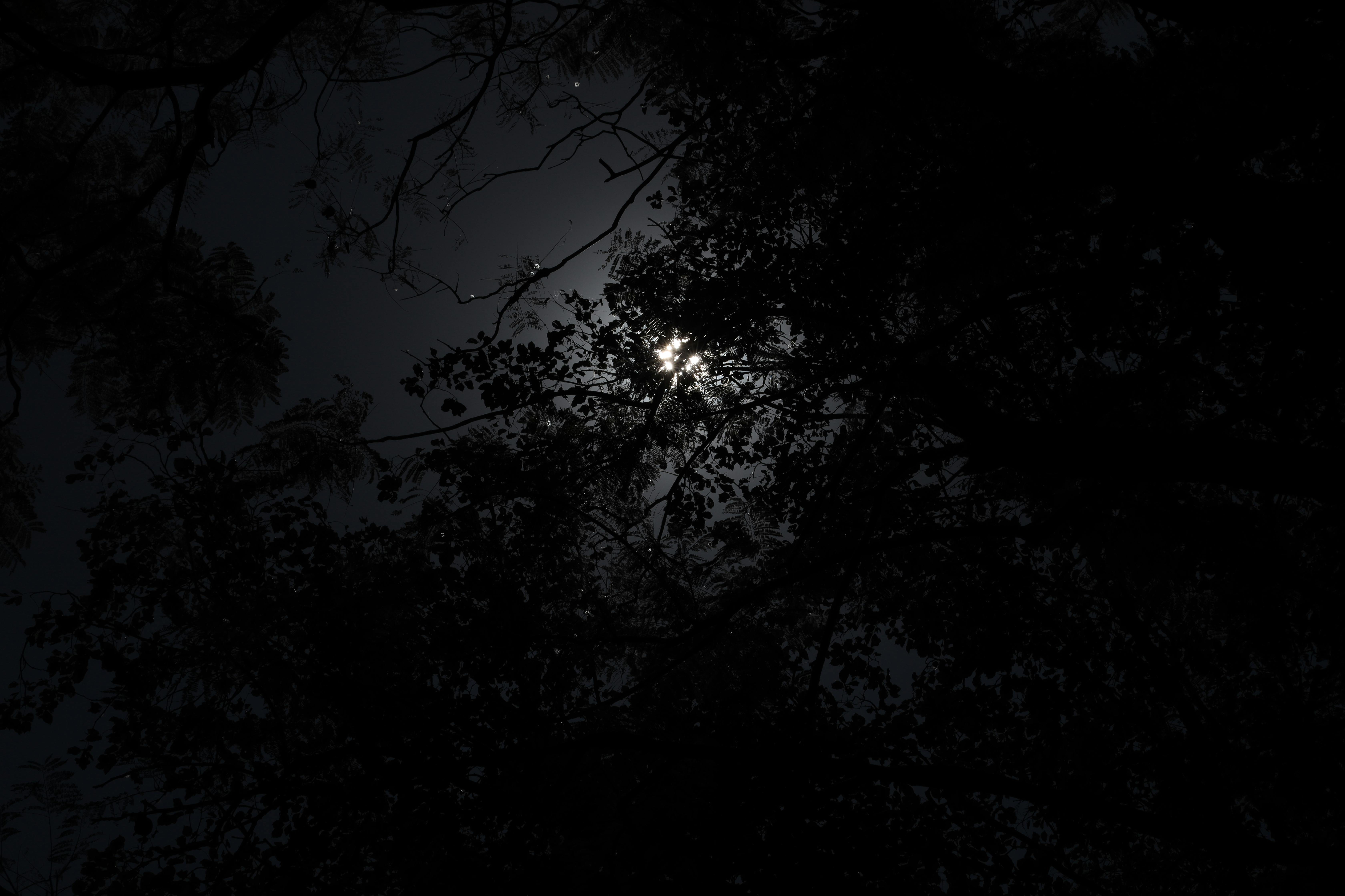 Darshan Hegde - Fotografía