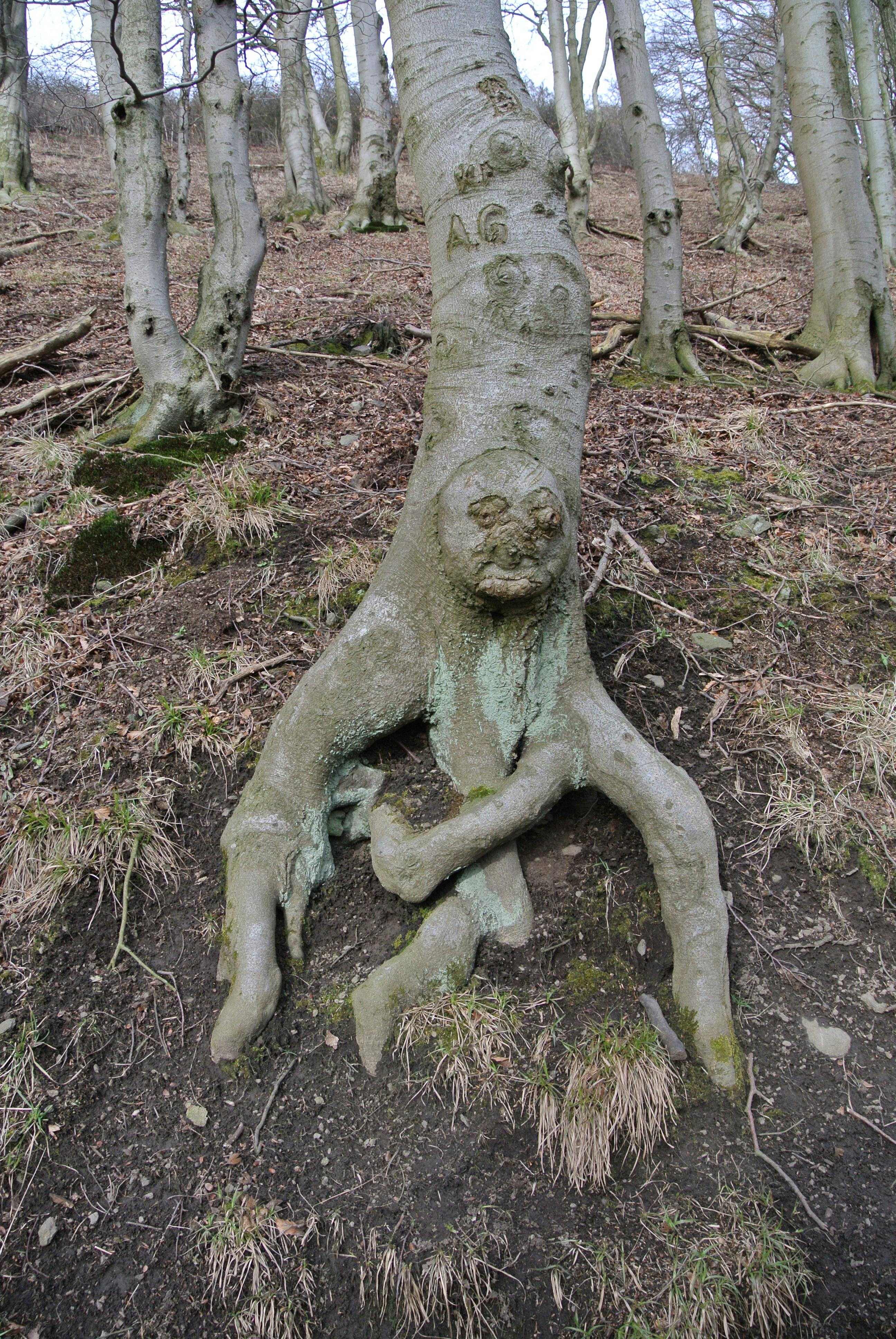 Peter Frese - 摄影