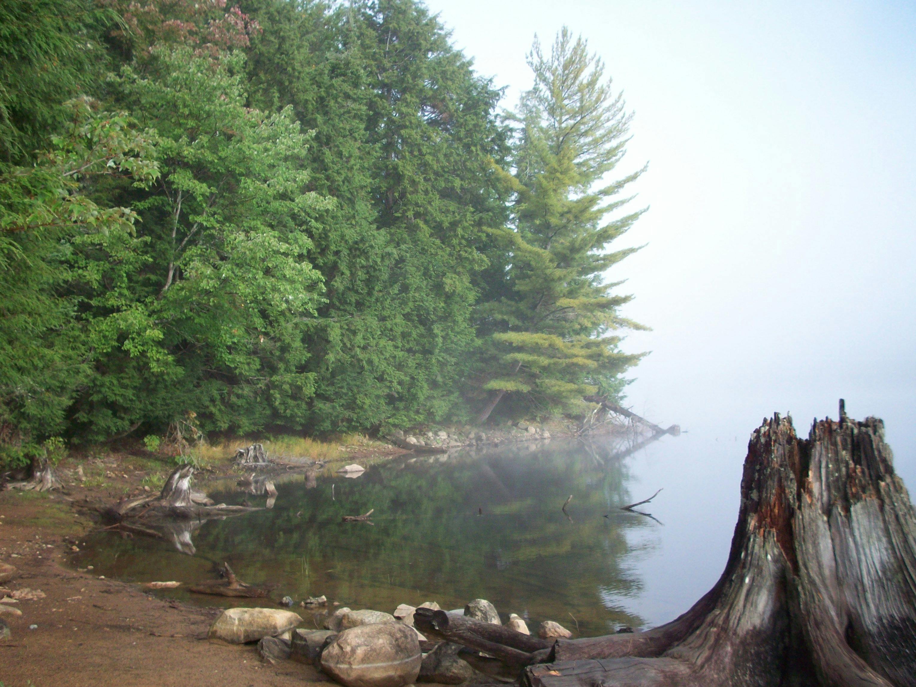 MARTHA SALES - 写真