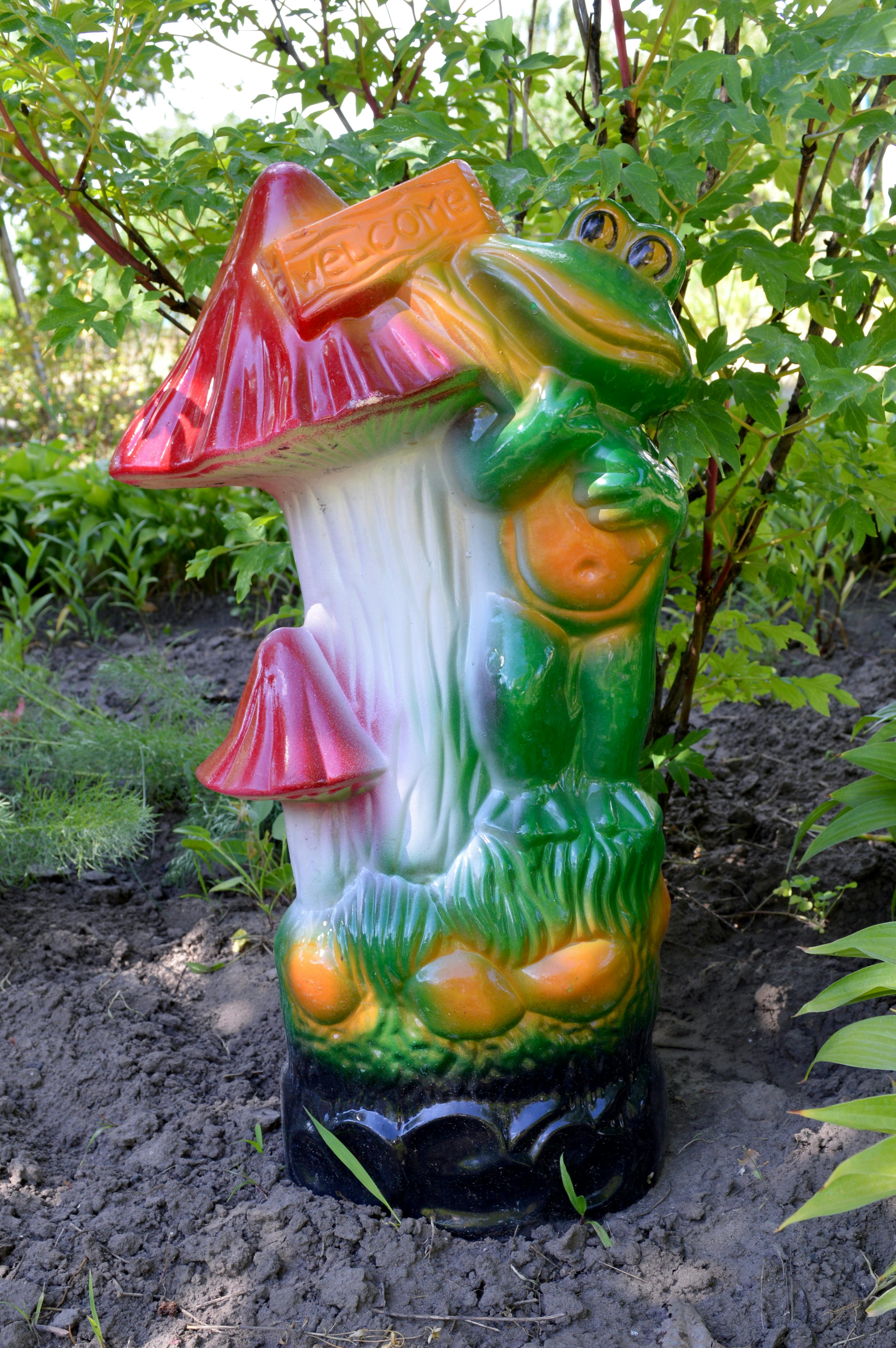 Free stock photo of frog, garden, garden frog