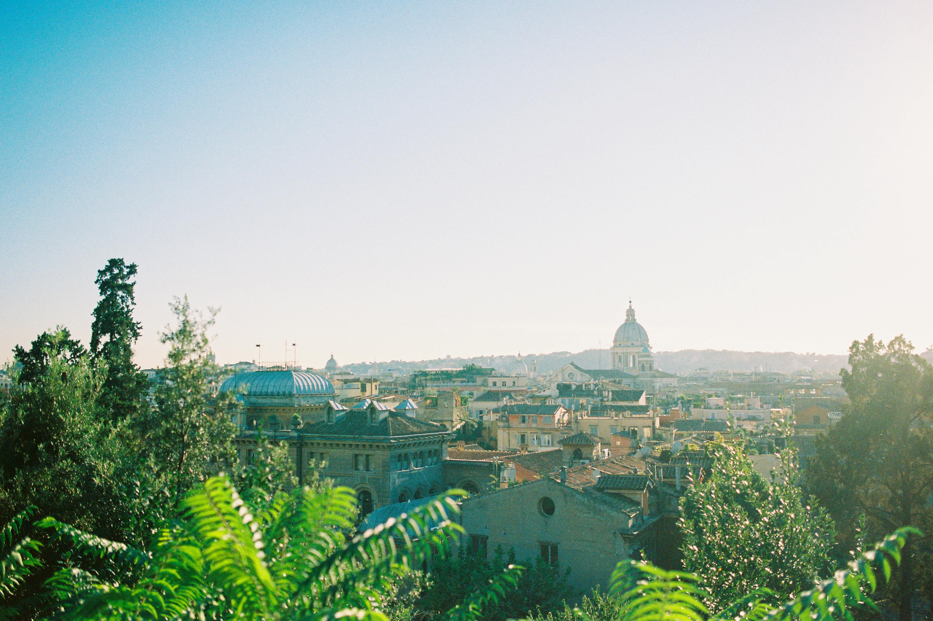 Rome Trees Photos, Download The BEST Free Rome Trees Stock Photos & HD ...