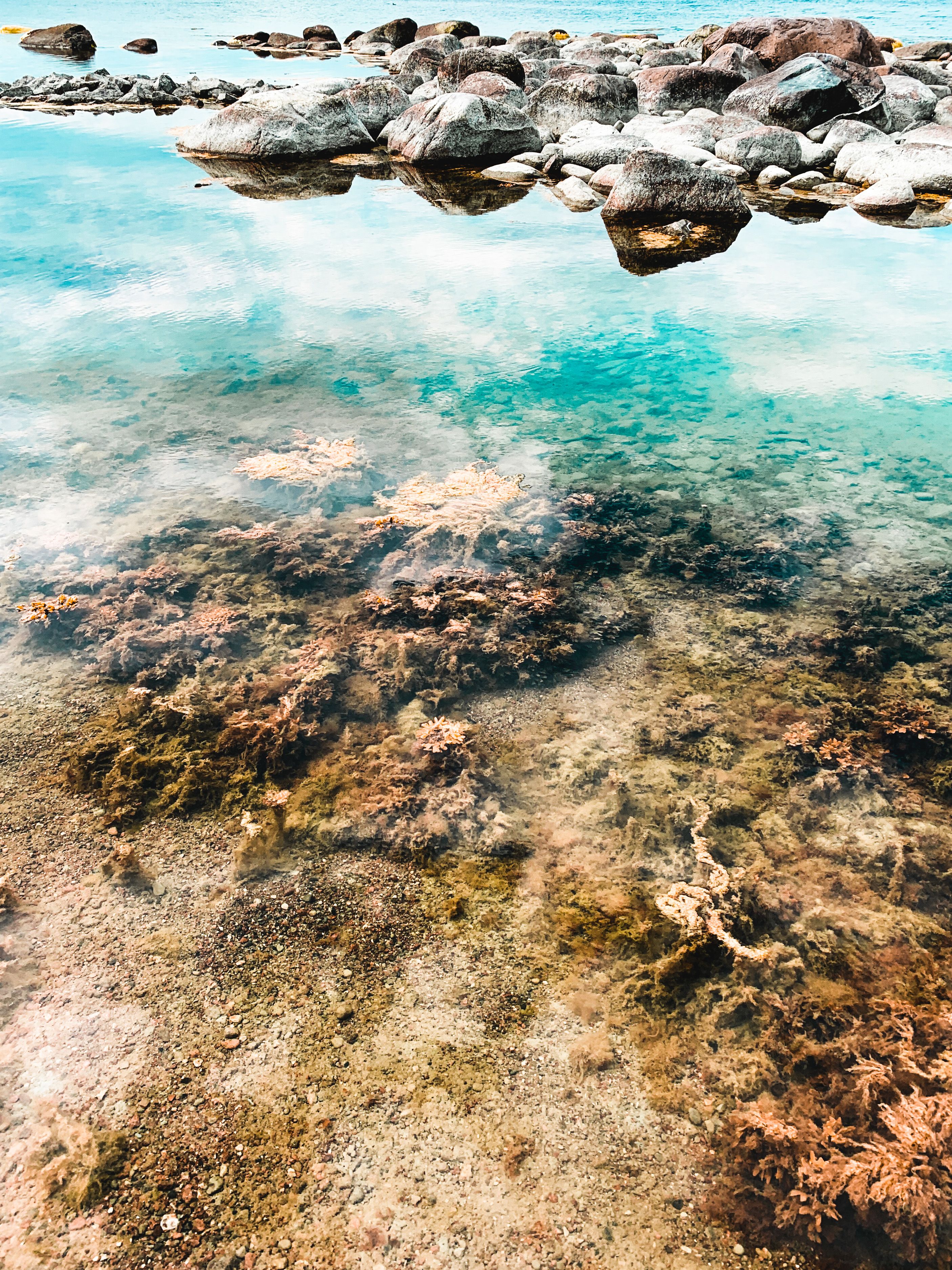 Rocky coast near calm sea water · Free Stock Photo