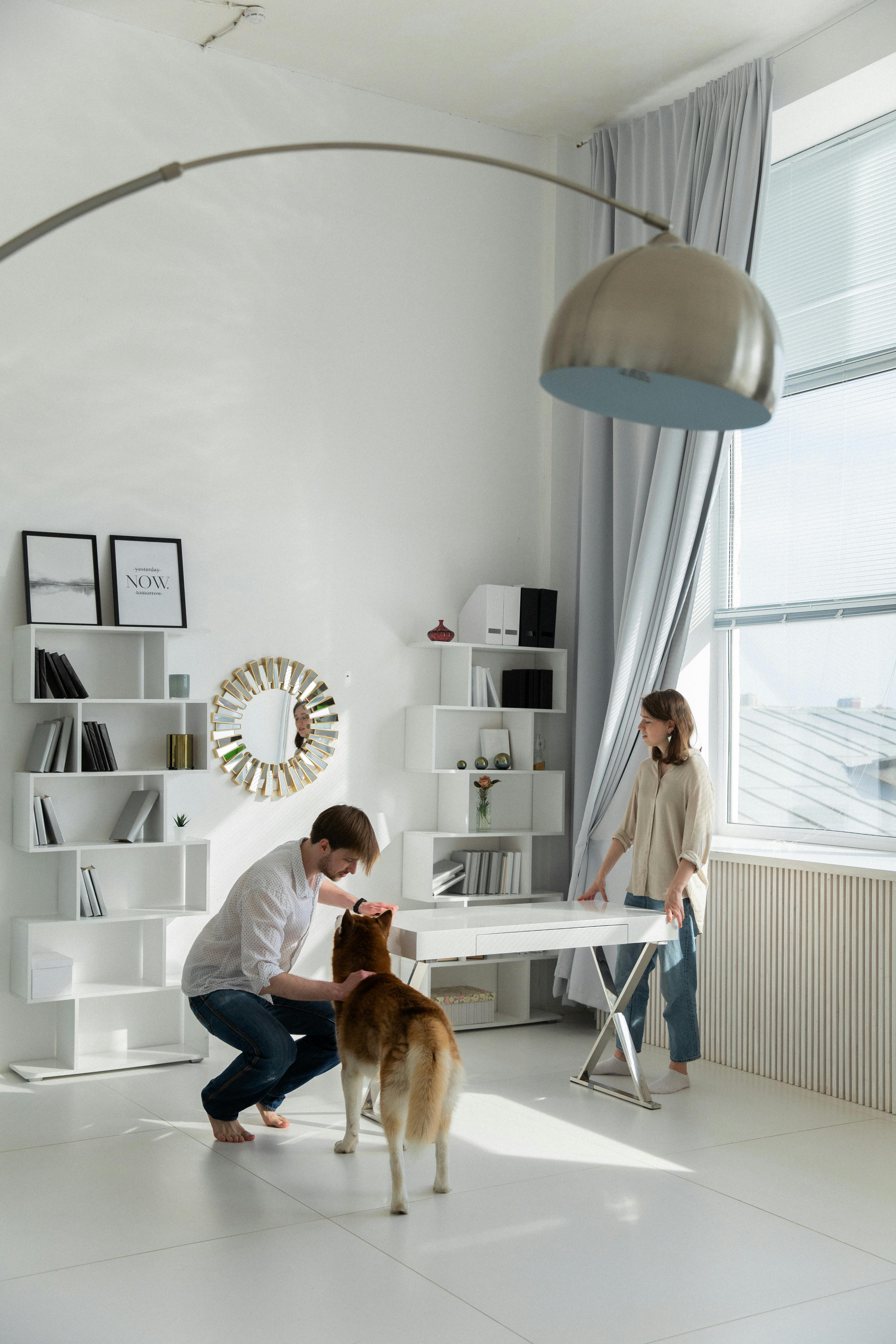 Couple with Dog in Home Office · Free Stock Photo