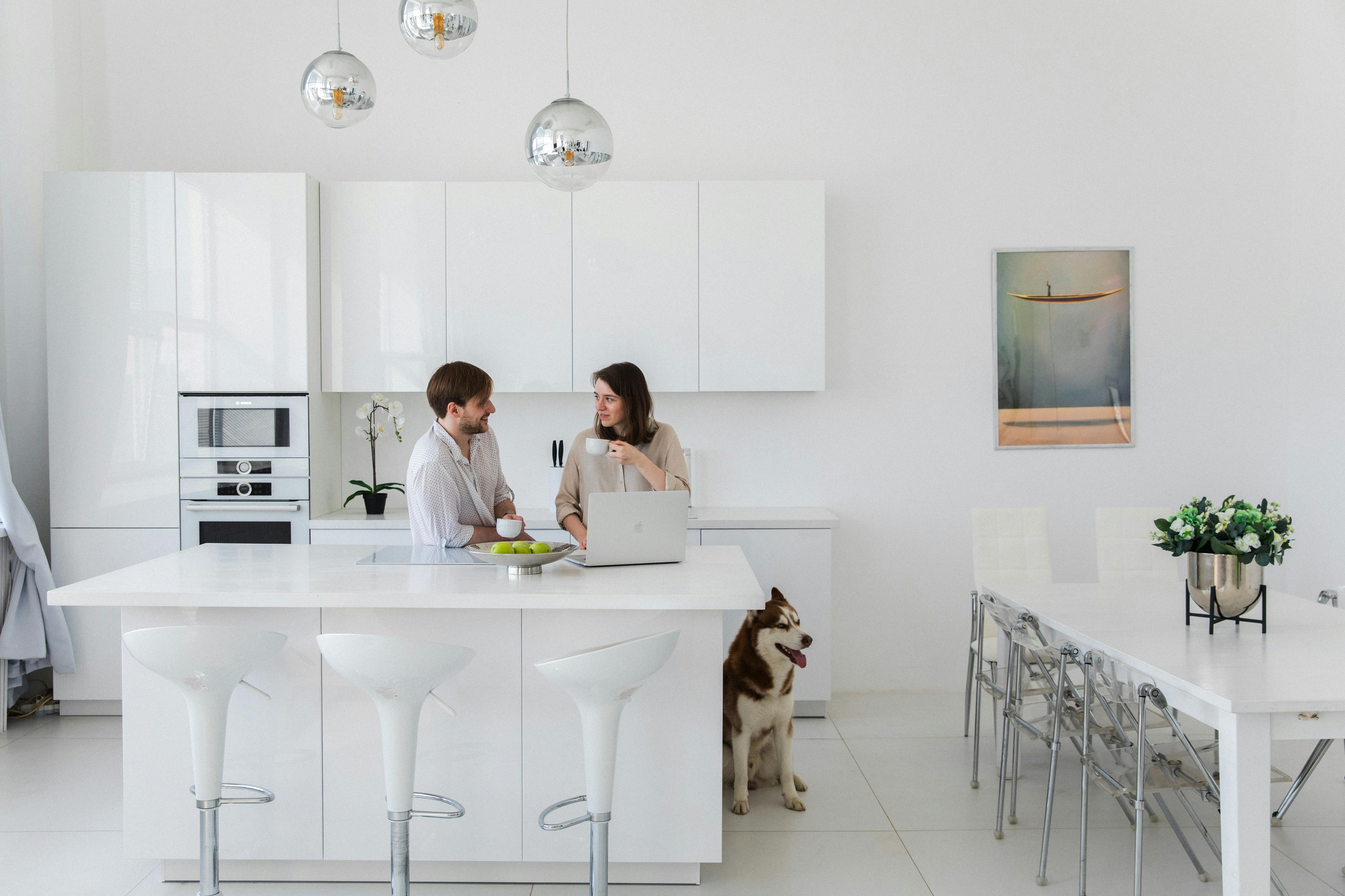 Dog Counter Photos, Download The BEST Free Dog Counter Stock Photos ...