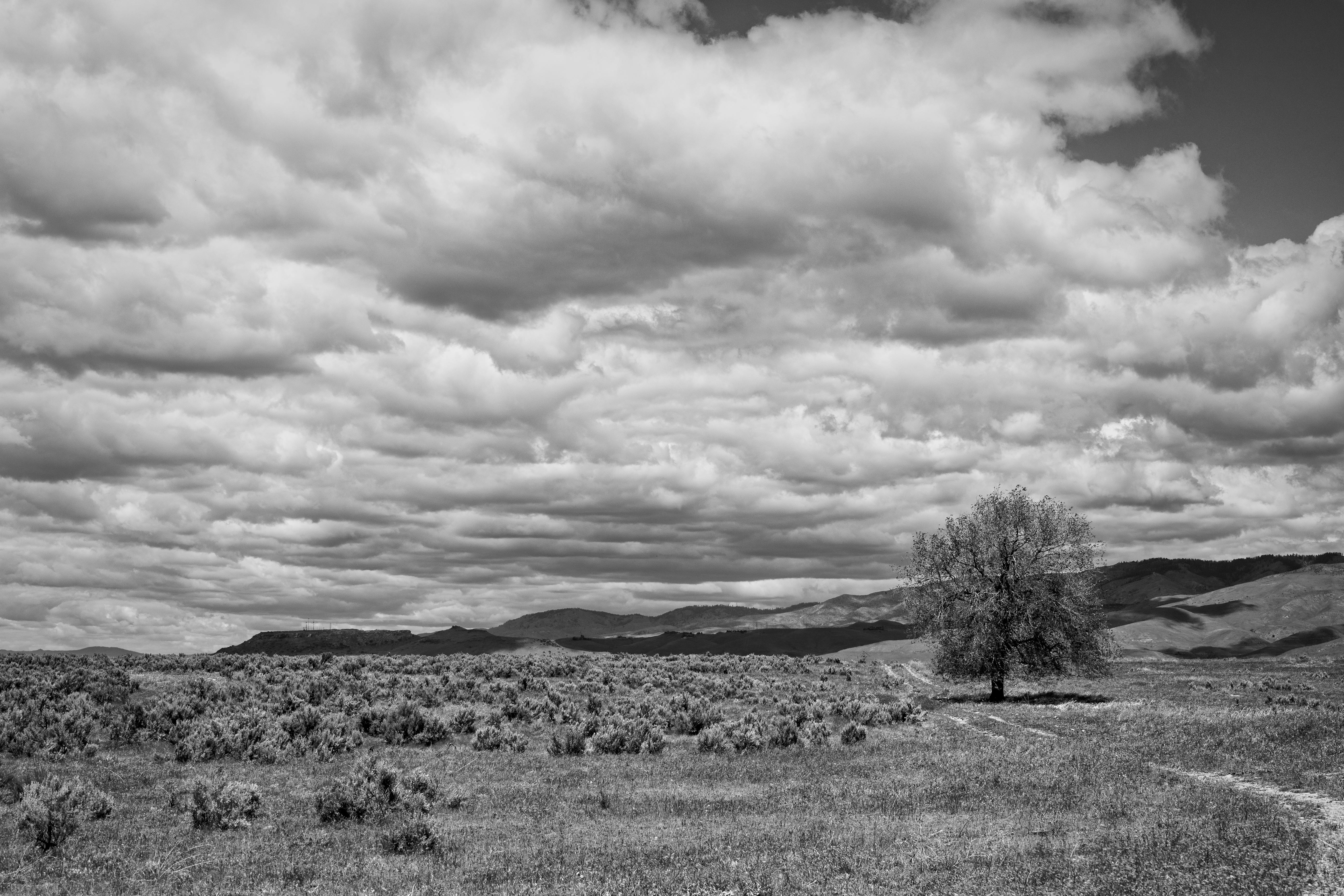 Cloudy Sky · Free Stock Photo