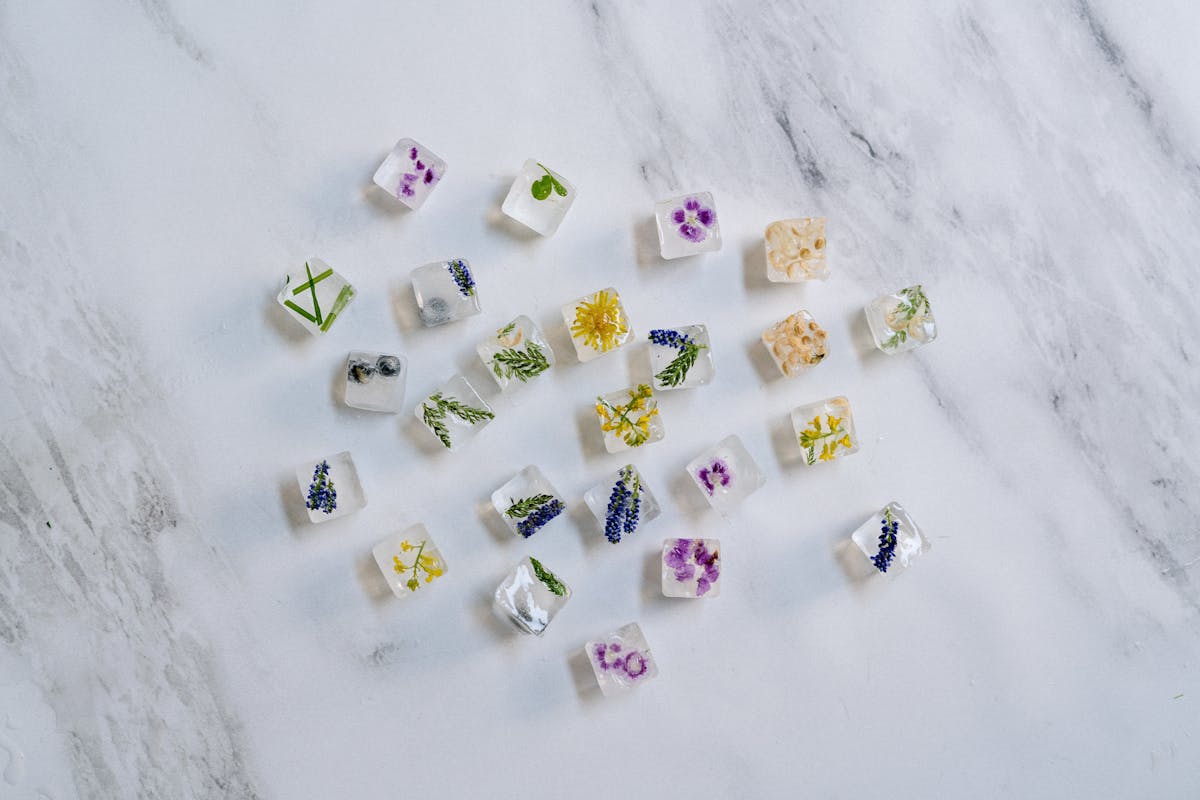 Ice Photos, Download The BEST Free Ice Stock Photos & HD Images