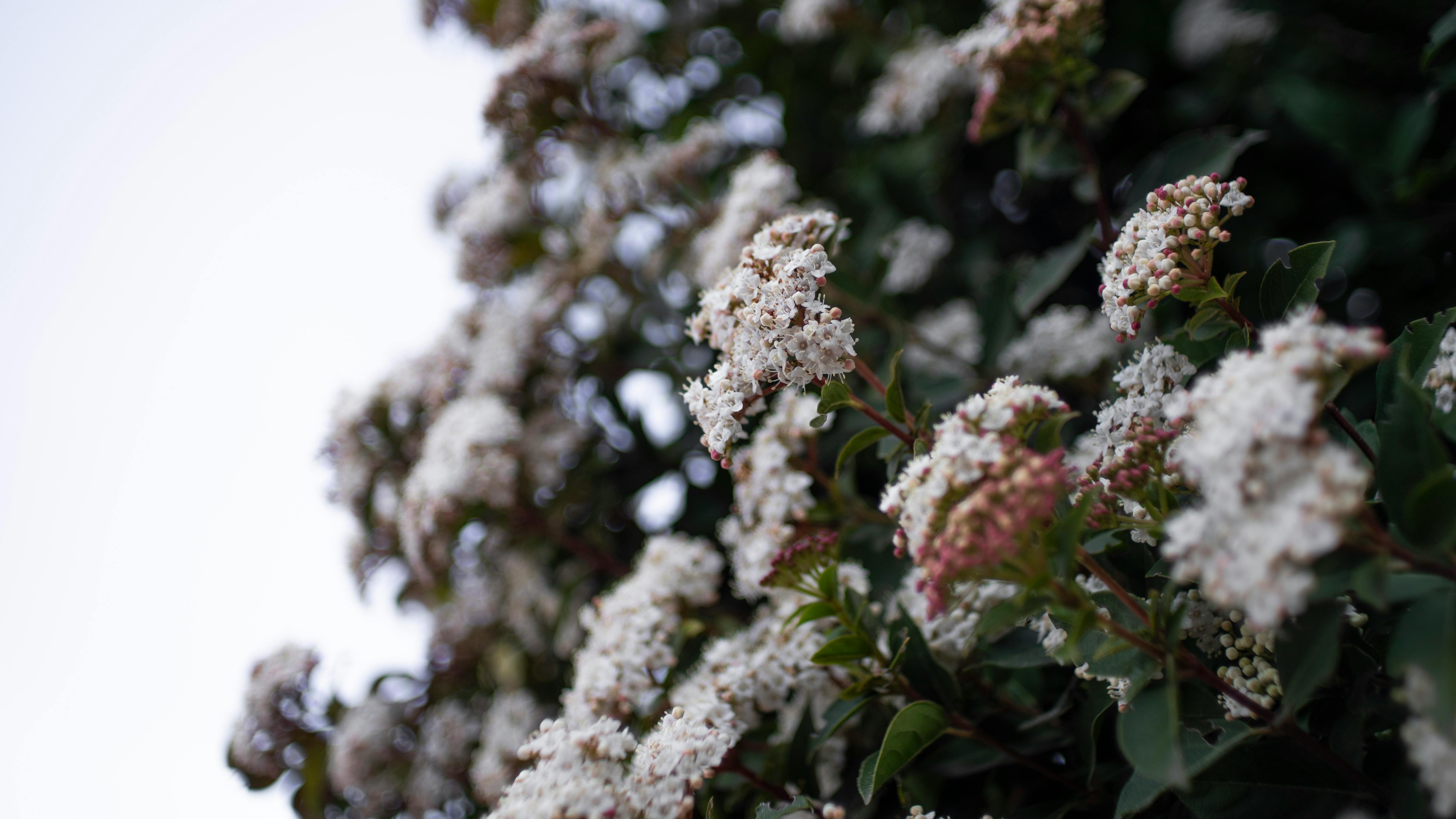 Mathieu Stern - Photography