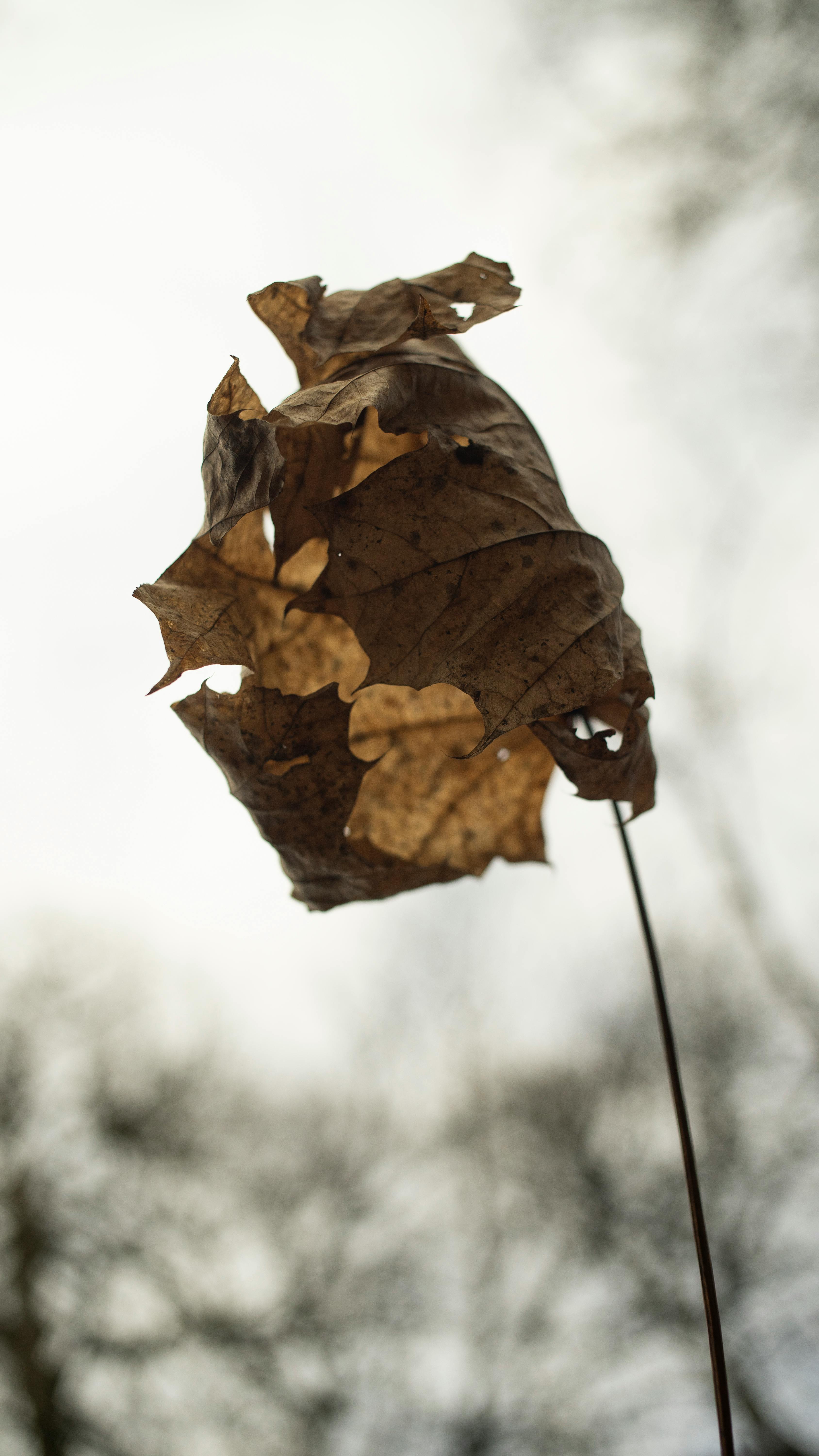 Mathieu Stern - Photography