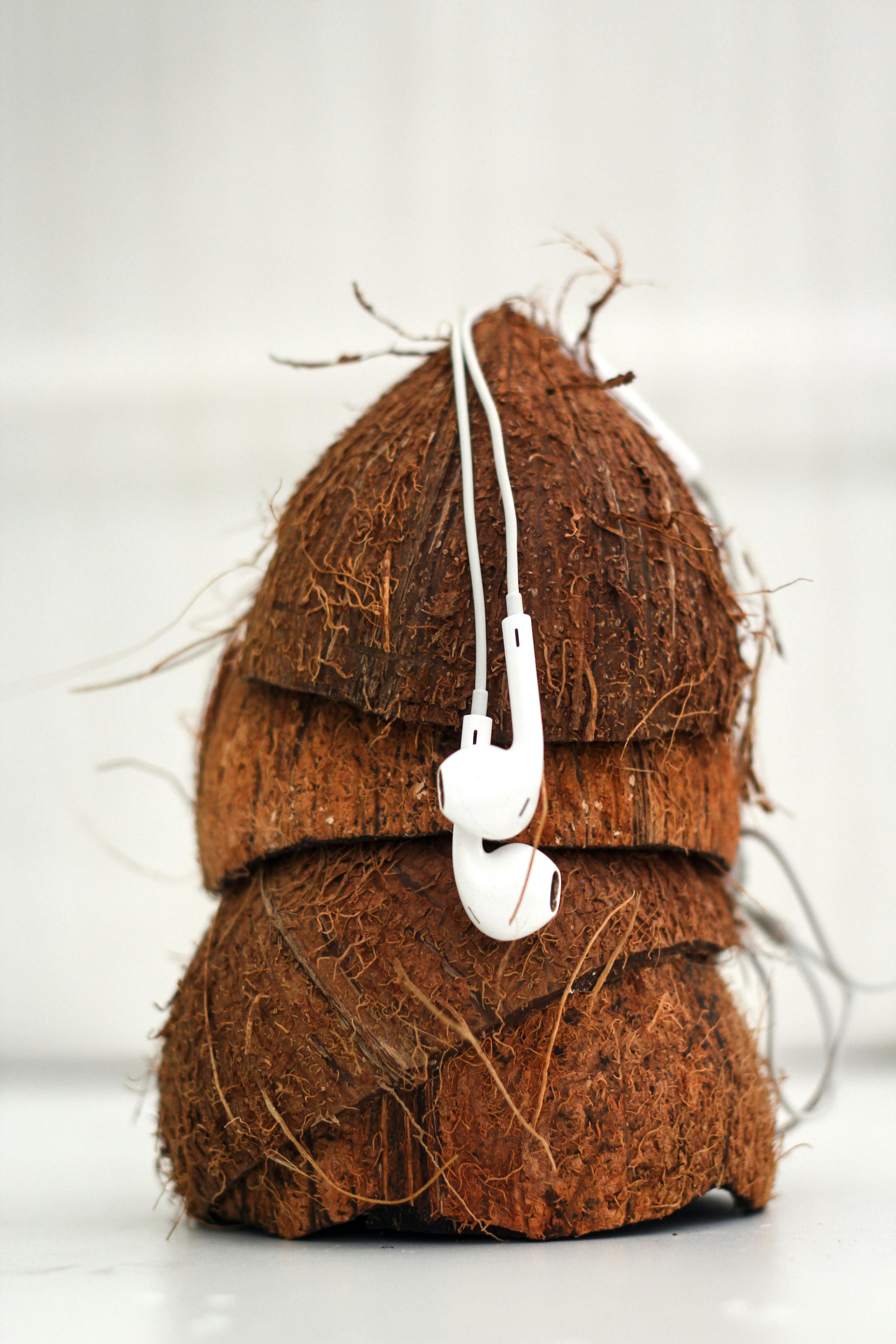 A Close-Up Shot Inside the Coconut Shell · Free Stock Photo