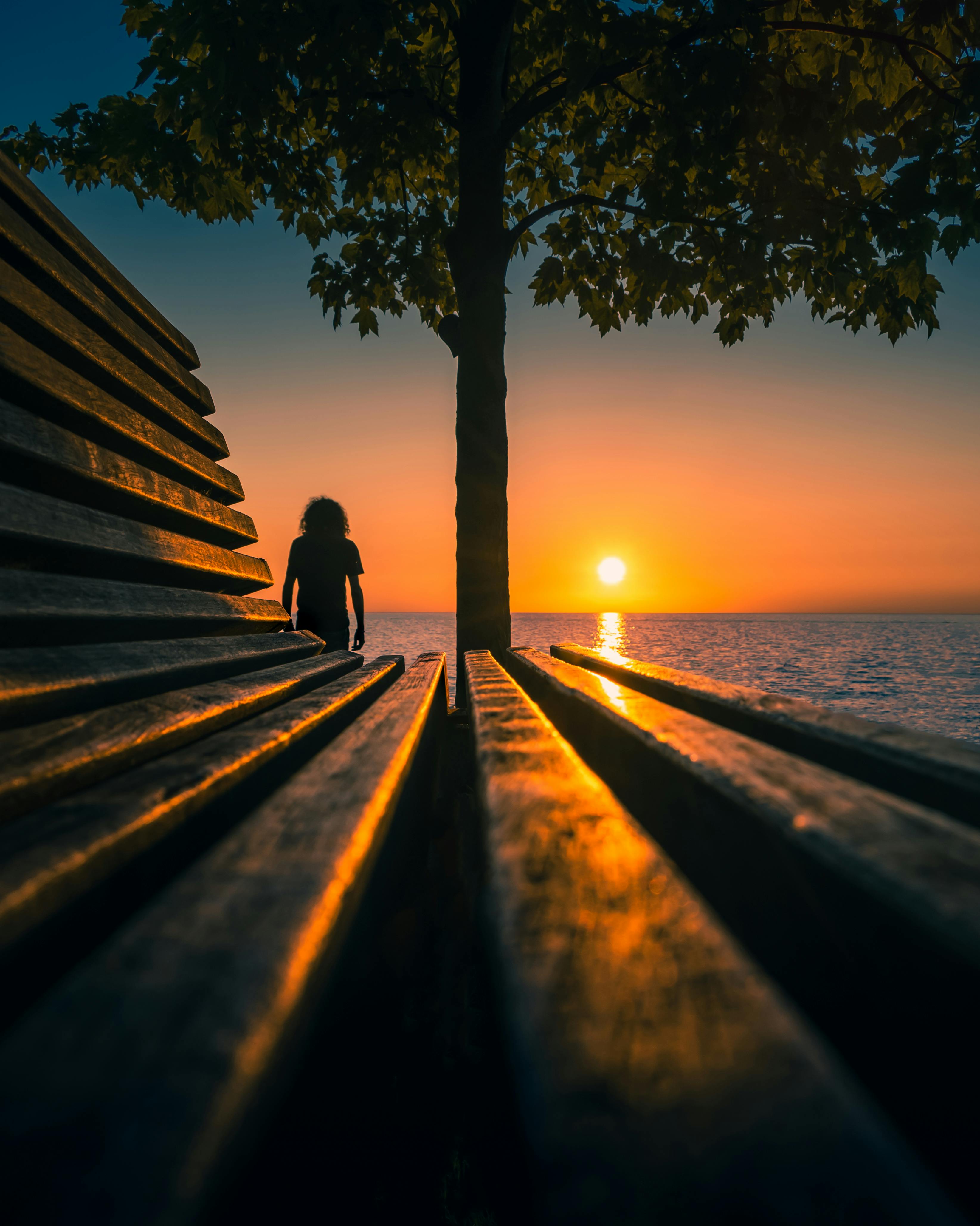 Sun Setting Photos, Download The BEST Free Sun Setting Stock Photos ...