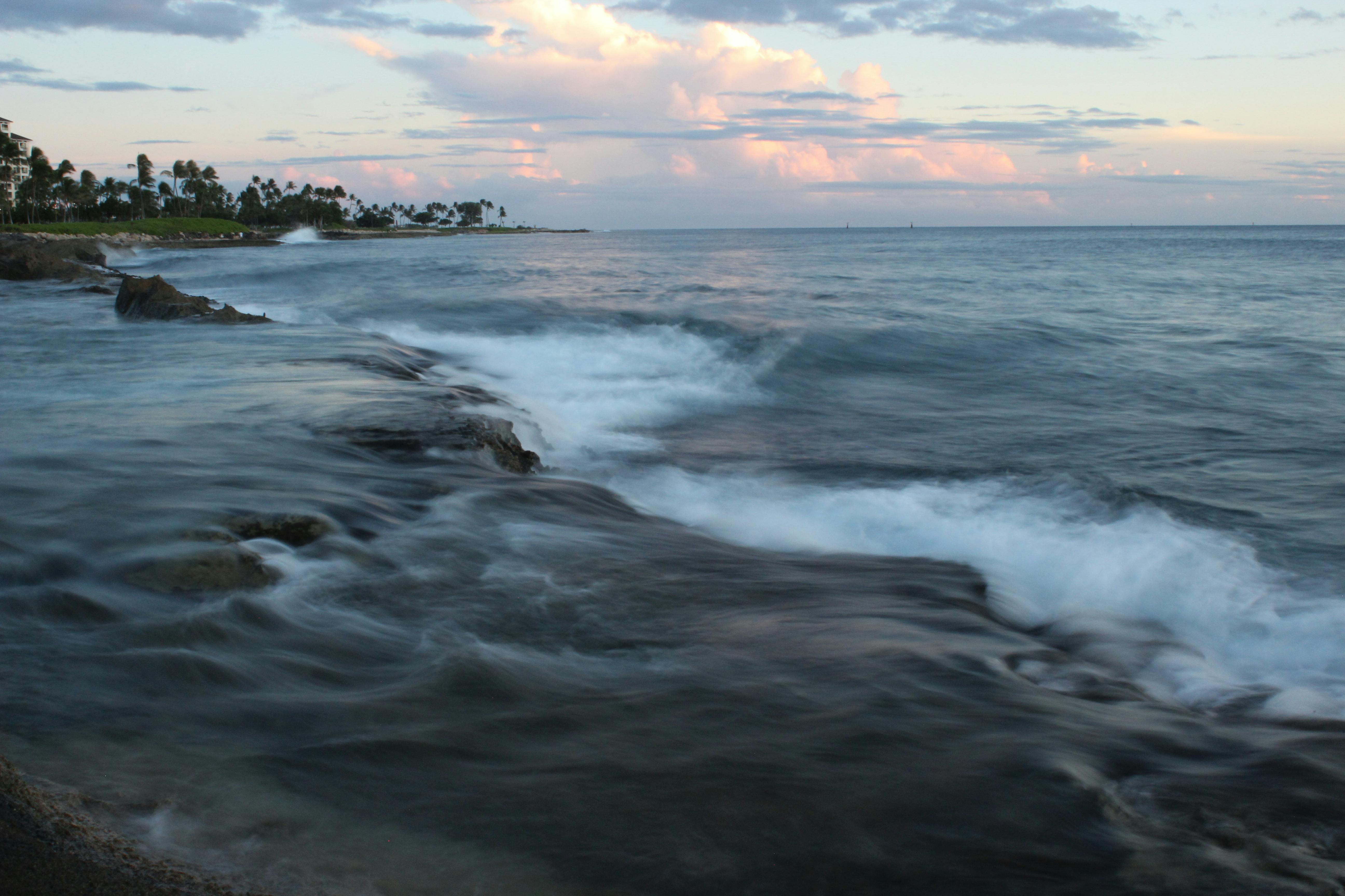 Alvin Rivera – Fotografia