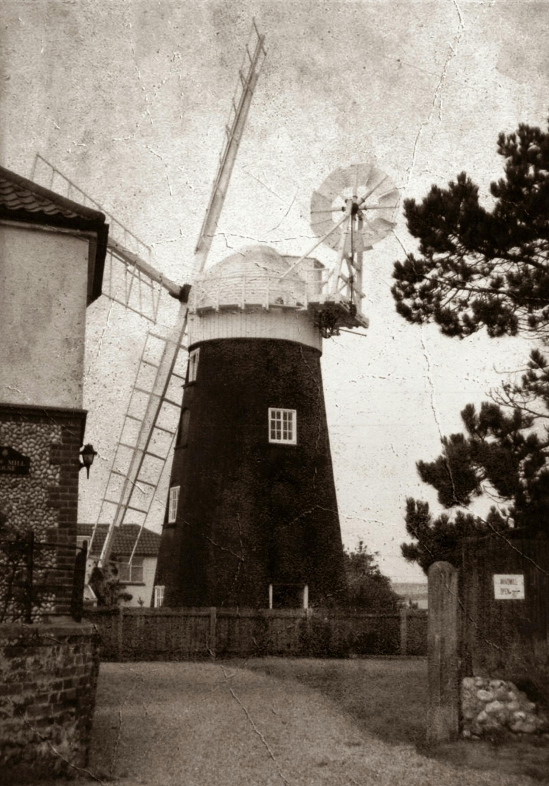 Grayscale Photo of Windmill Near Trees · Free Stock Photo