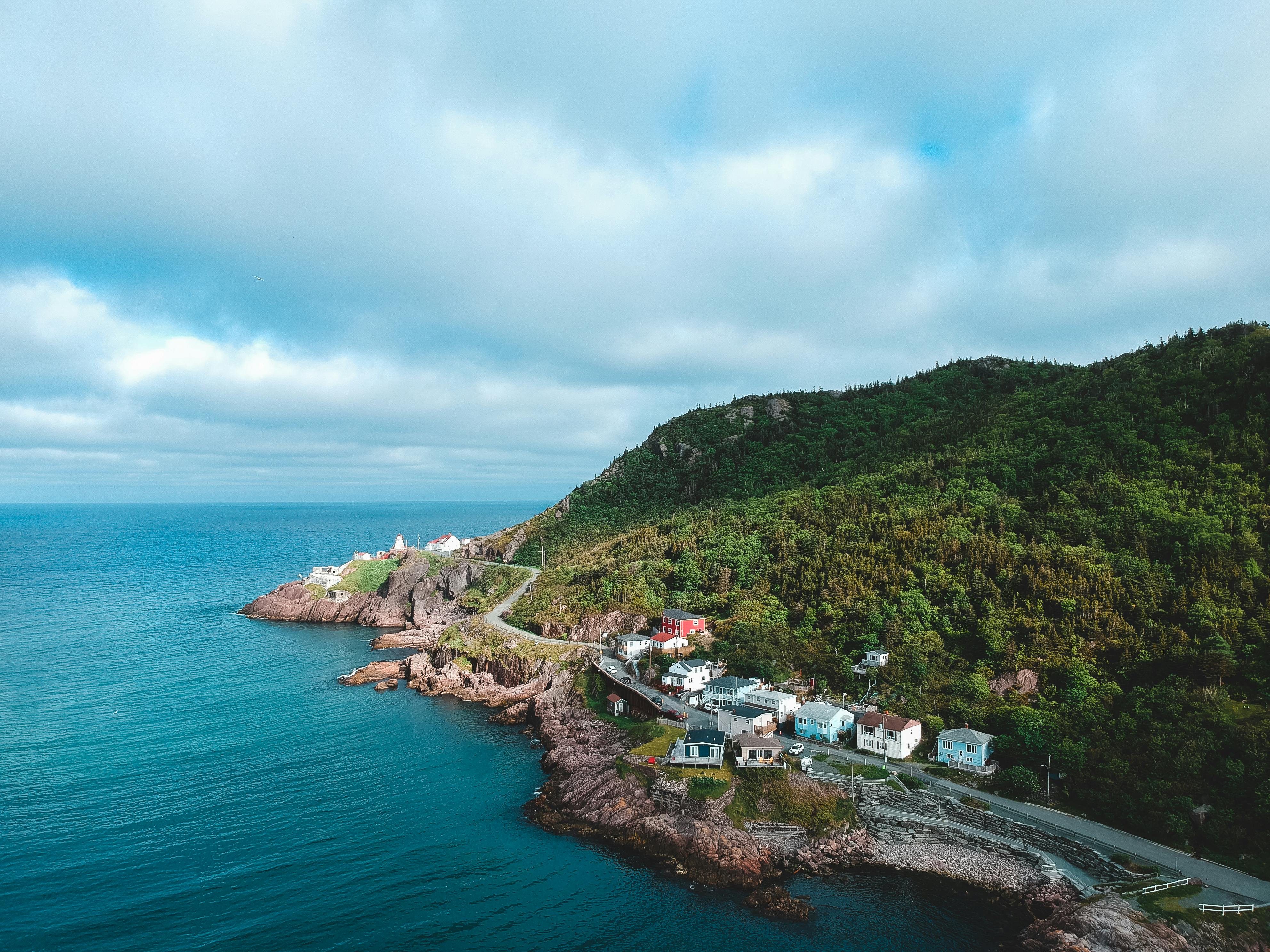 Spacious forested coast with narrow road and houses · Free Stock Photo