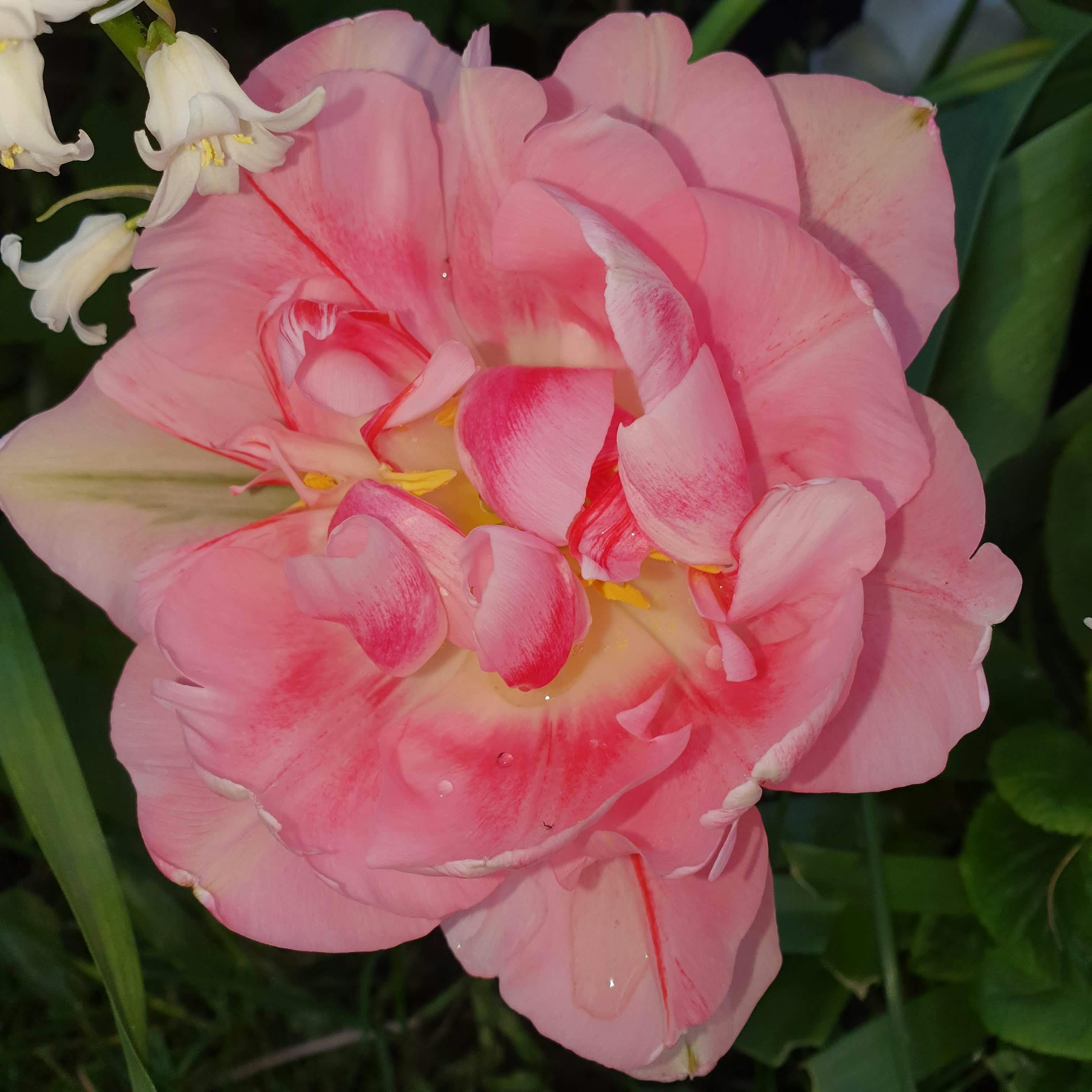 Gary Ingram - 사진