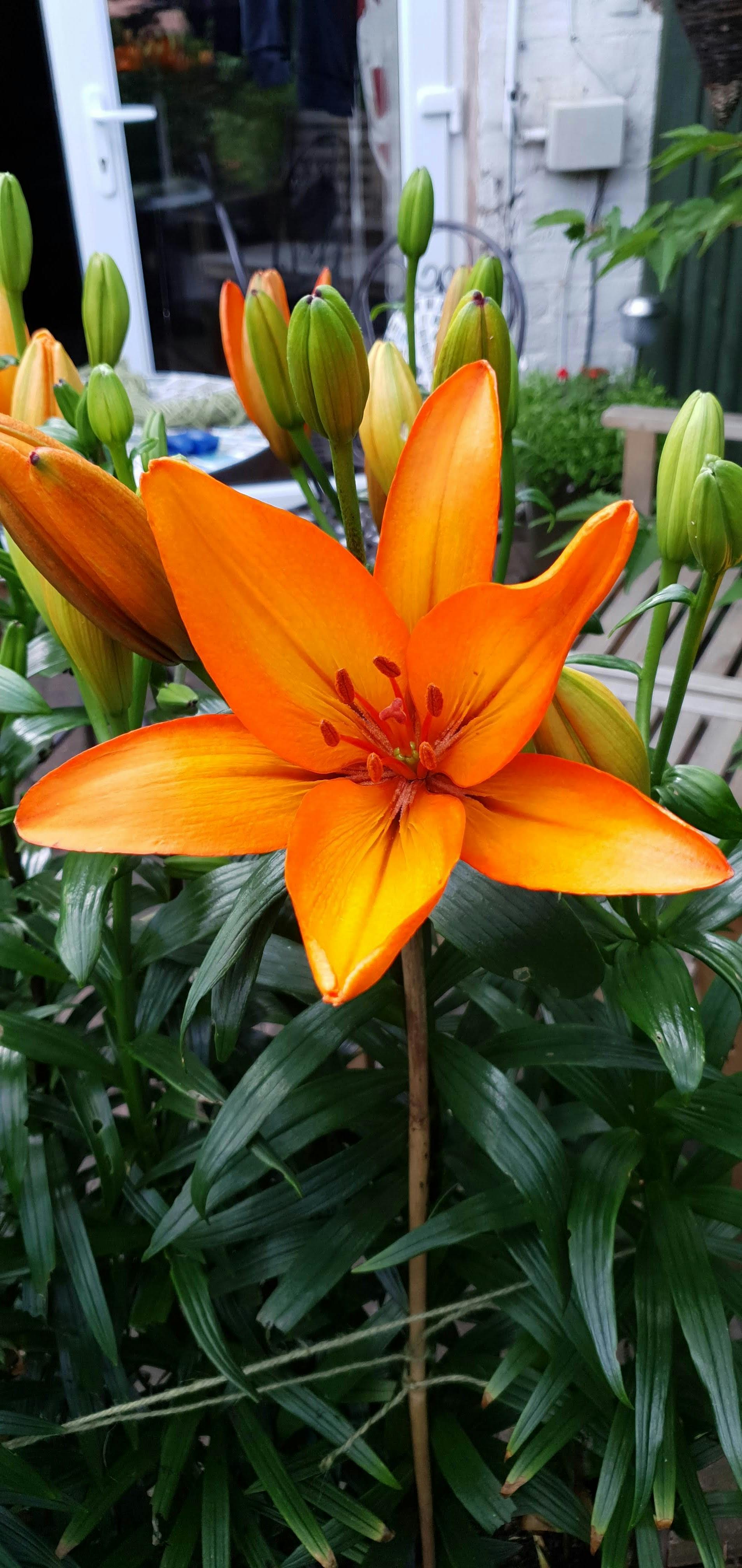 Gary Ingram - 사진