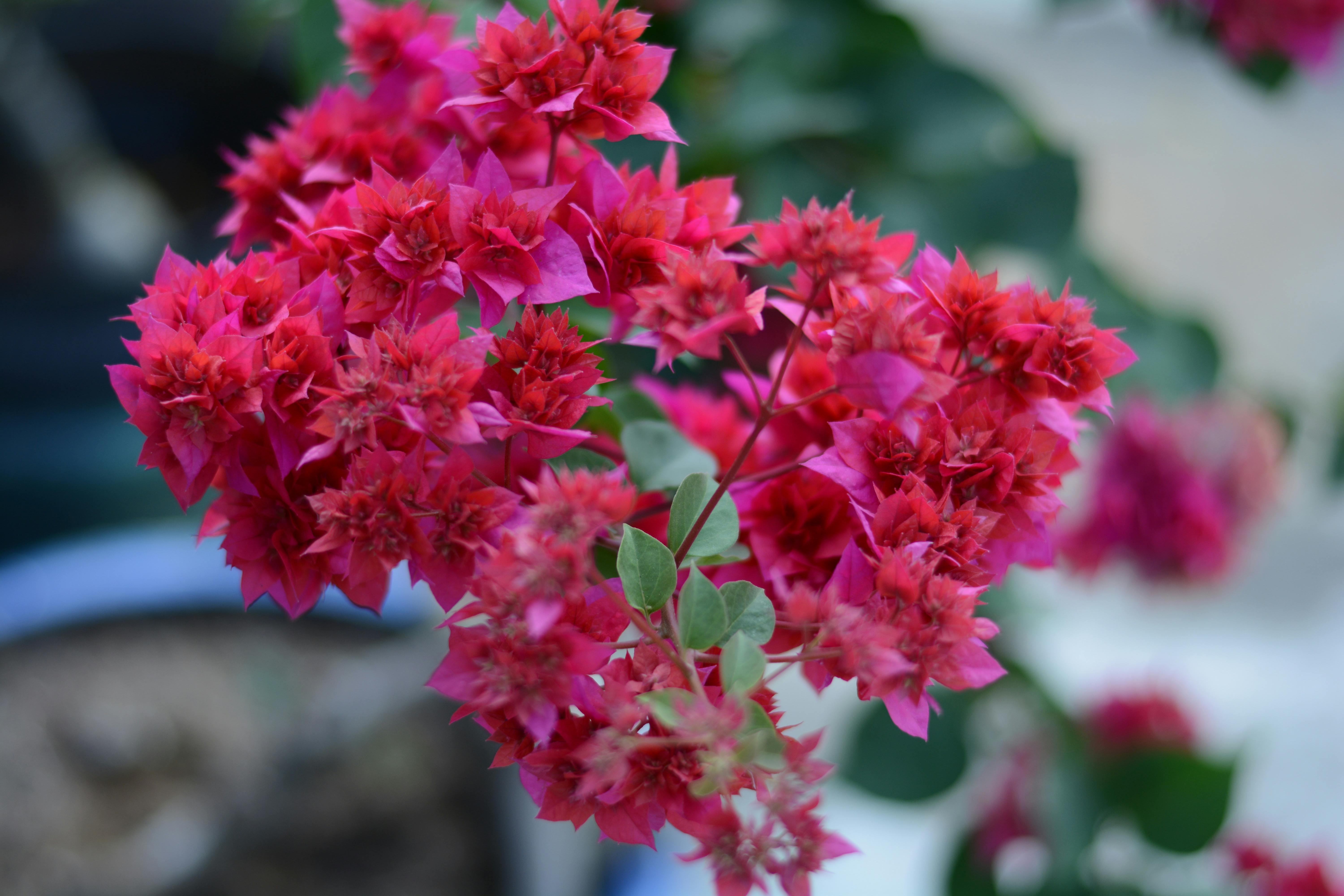 Loc Nguyen - Photography