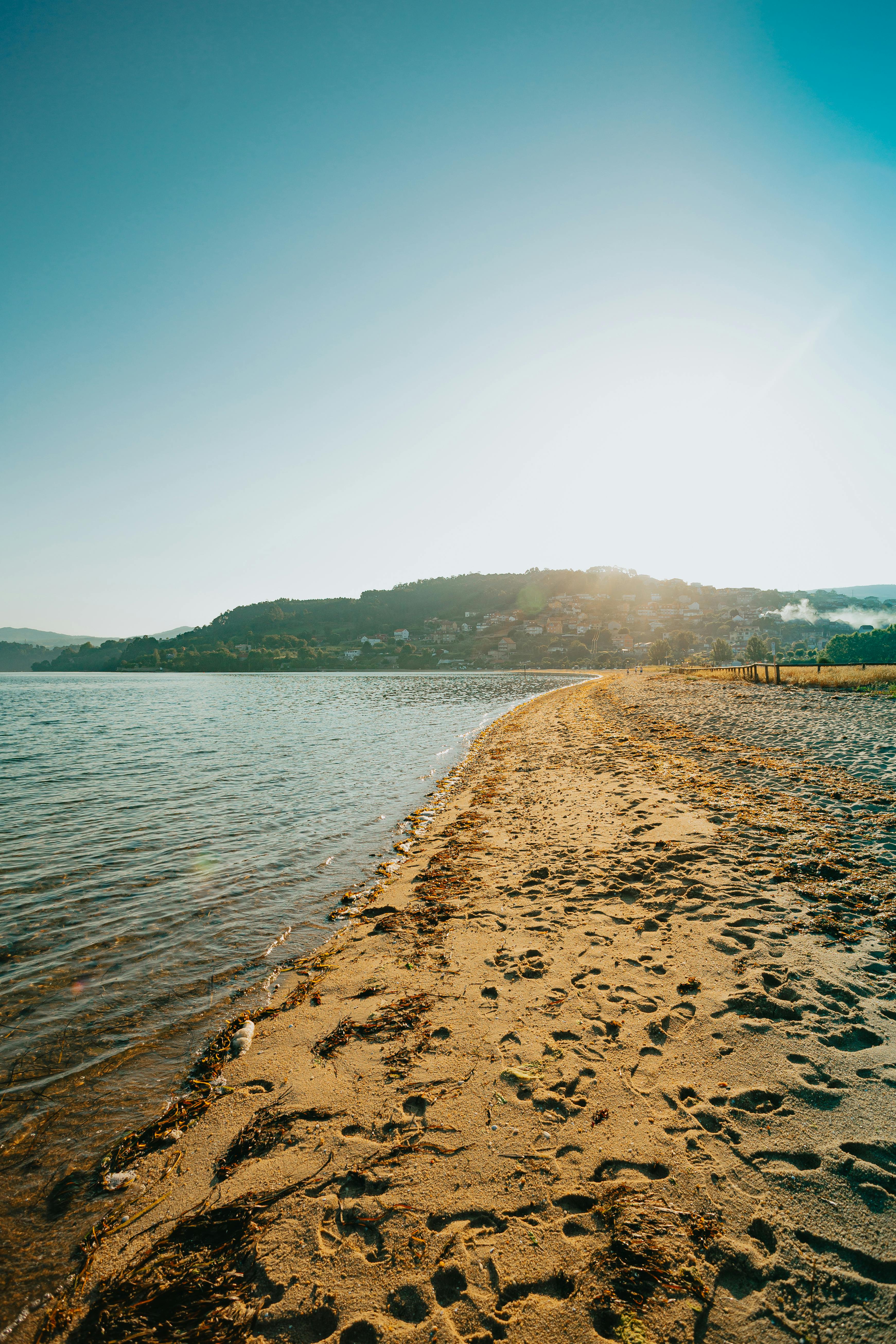Photo of Beach During Daytime · Free Stock Photo