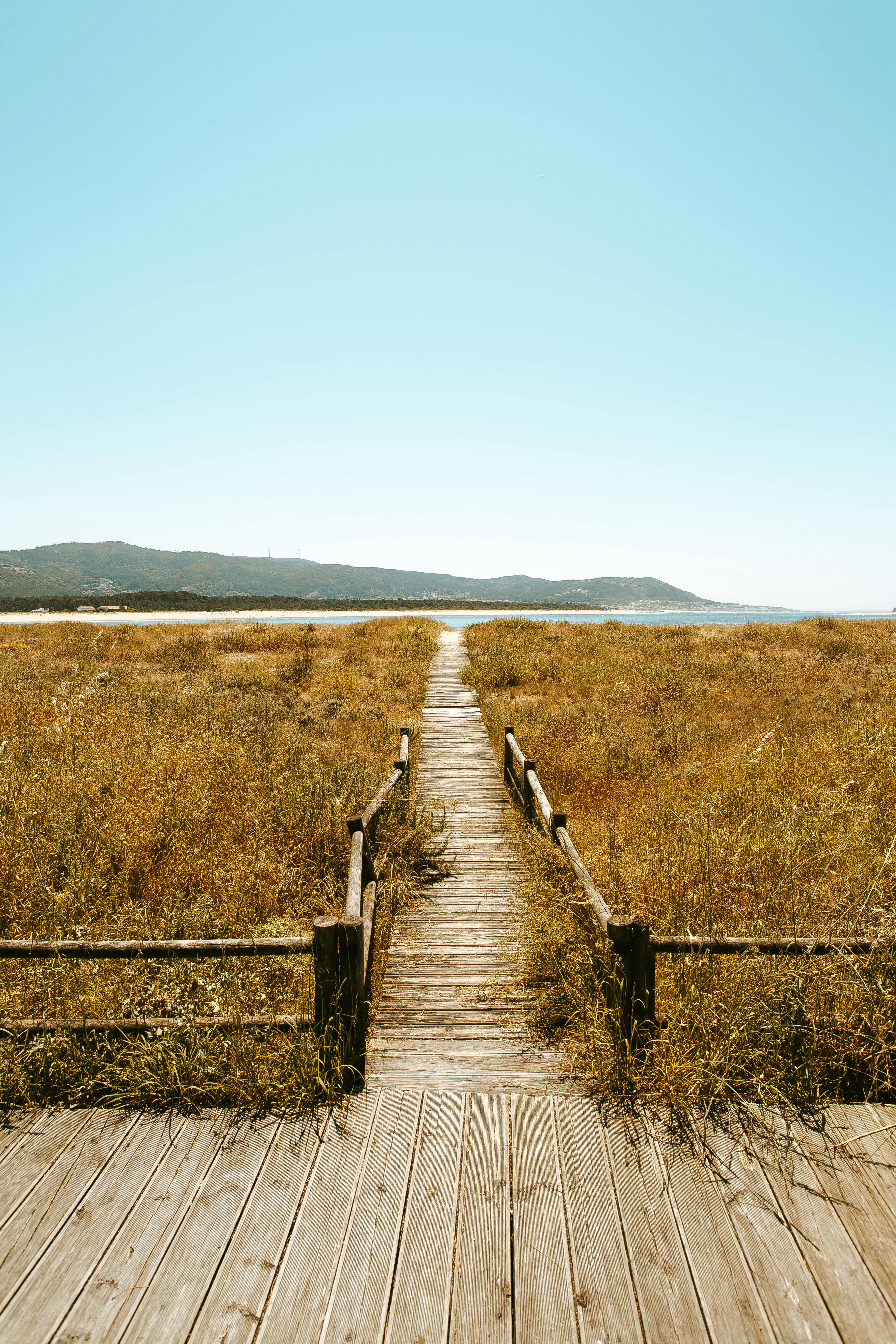 Brown Wooden Pathway on Brown Grass Field · Free Stock Photo