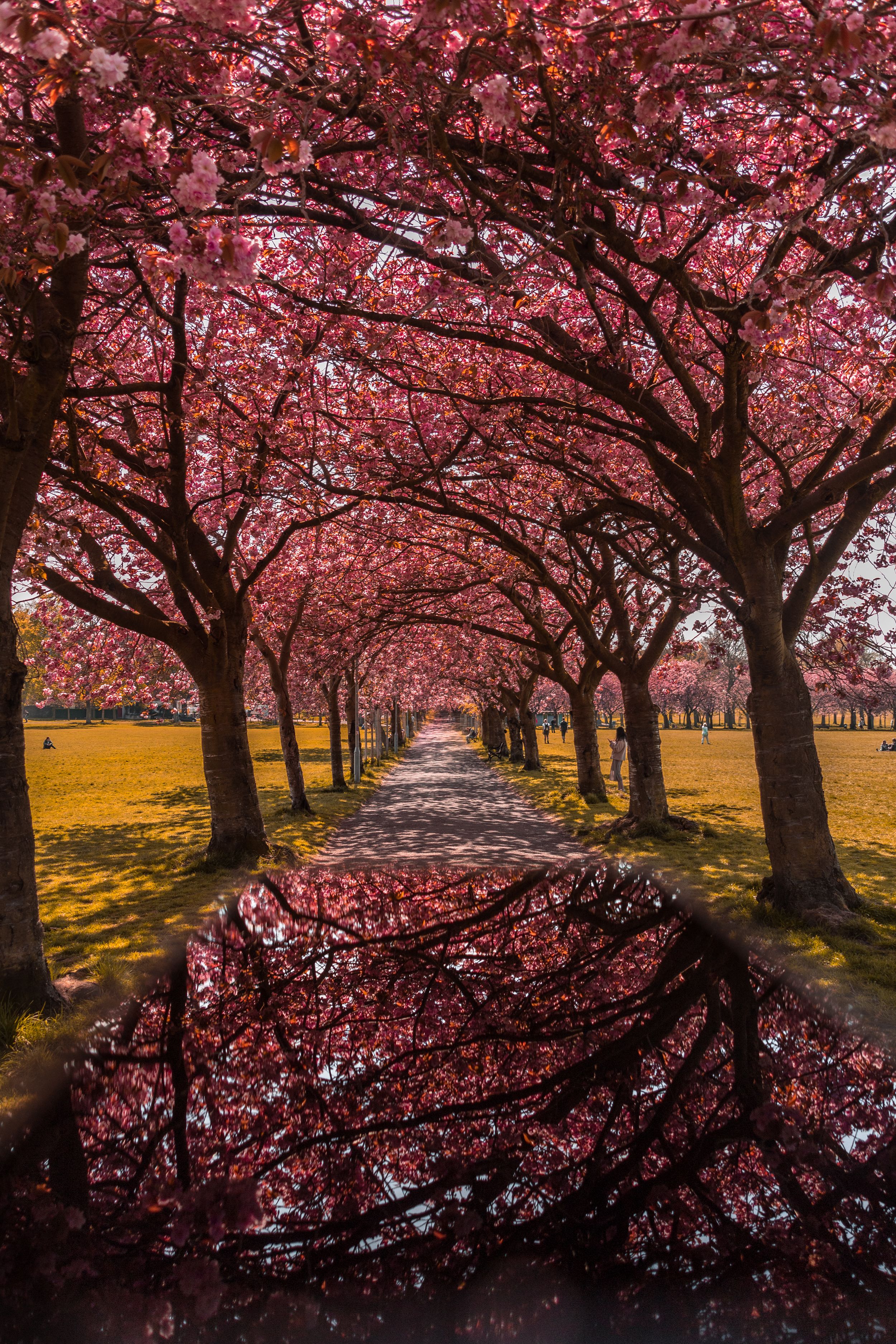 David Rico - Photography