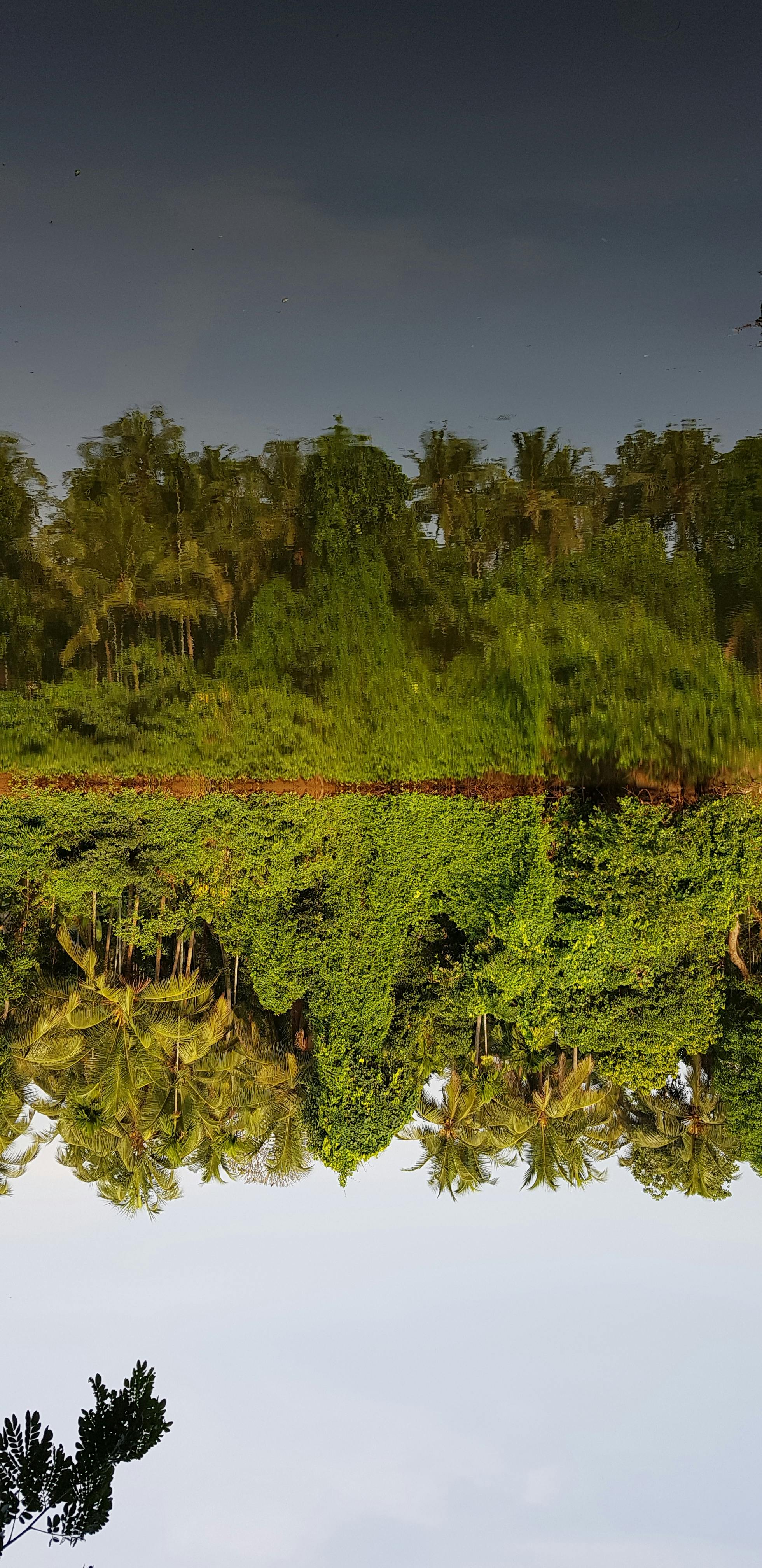 Sabin Kallara - 摄影