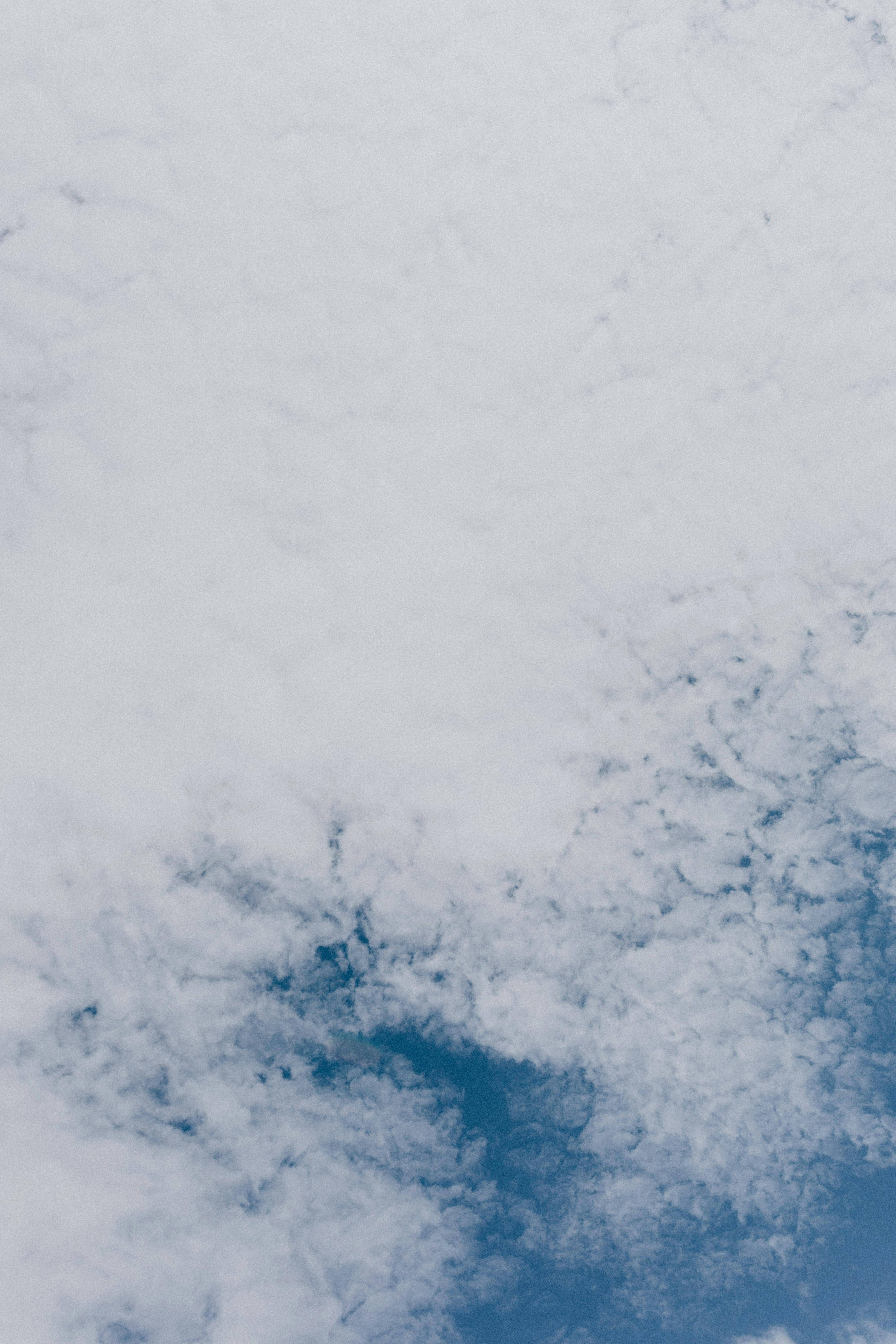 500,000+张最精彩的“Star Background Wallpaper”图片 · 100%免费下载 · Pexels素材图片