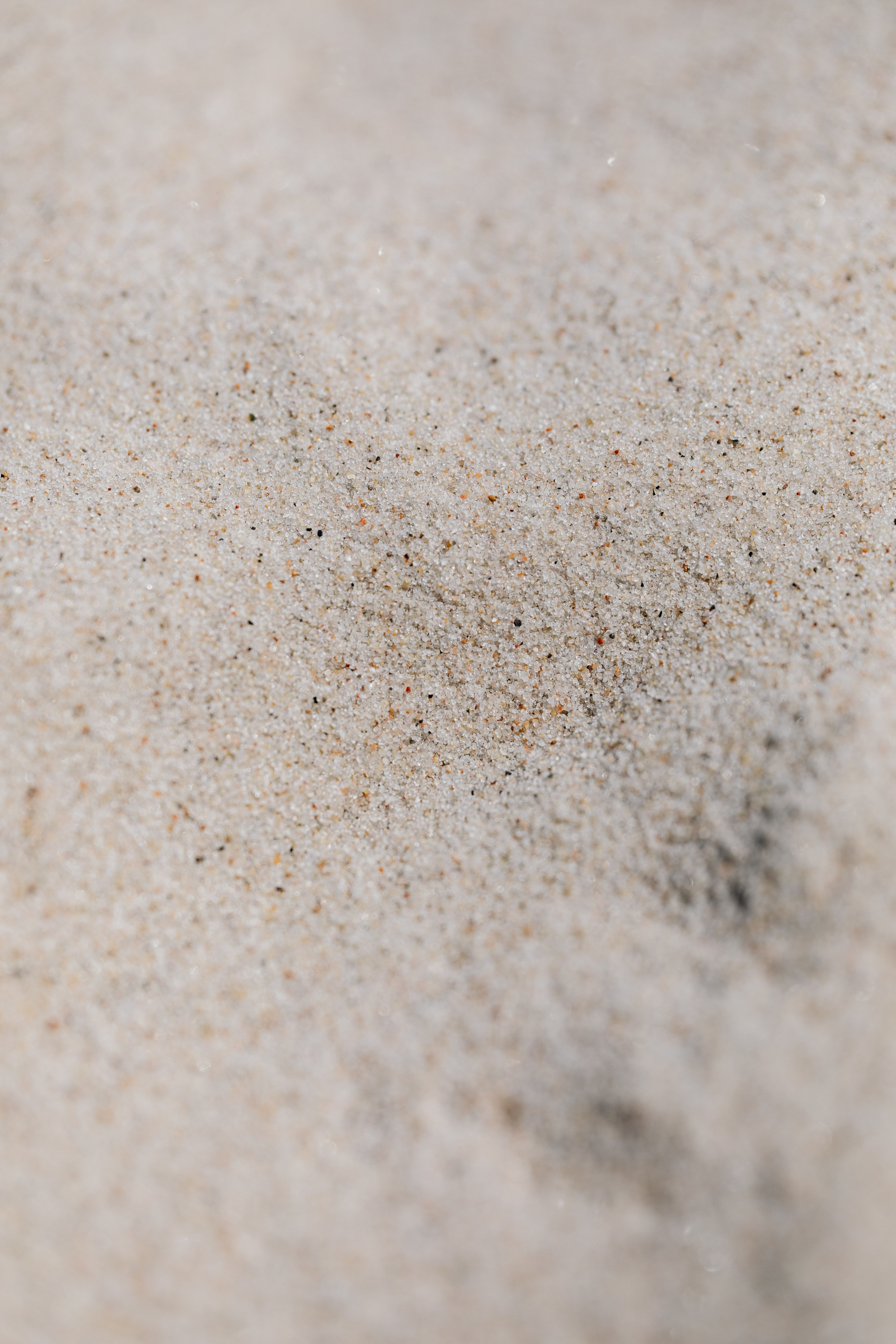 Mogged Photos, Download The BEST Free Mogged Stock Photos & HD Images