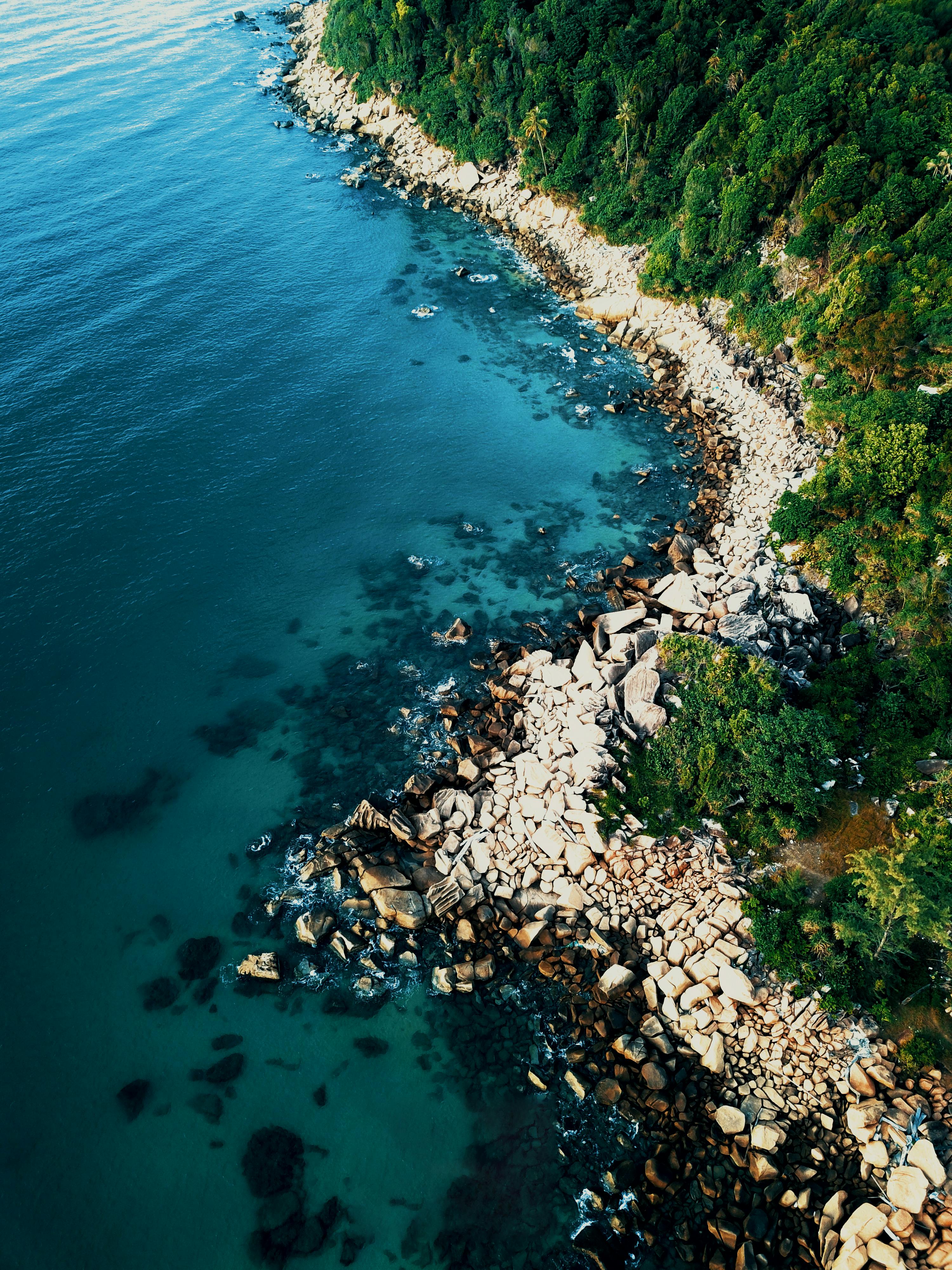 Wild Shoreline Photos, Download Free Wild Shoreline Stock Photos & HD ...