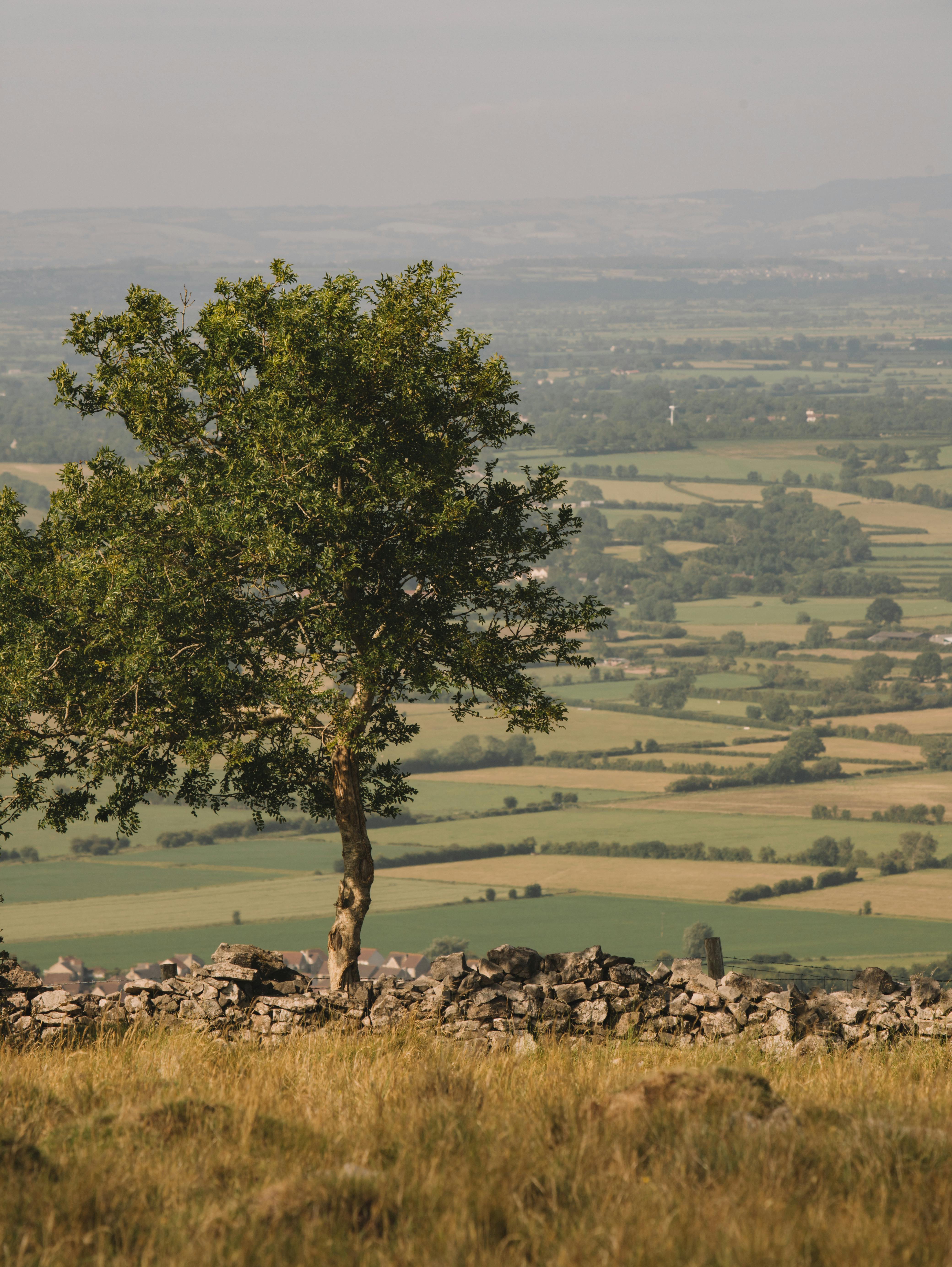 Green rocky cliff near blue lake · Free Stock Photo