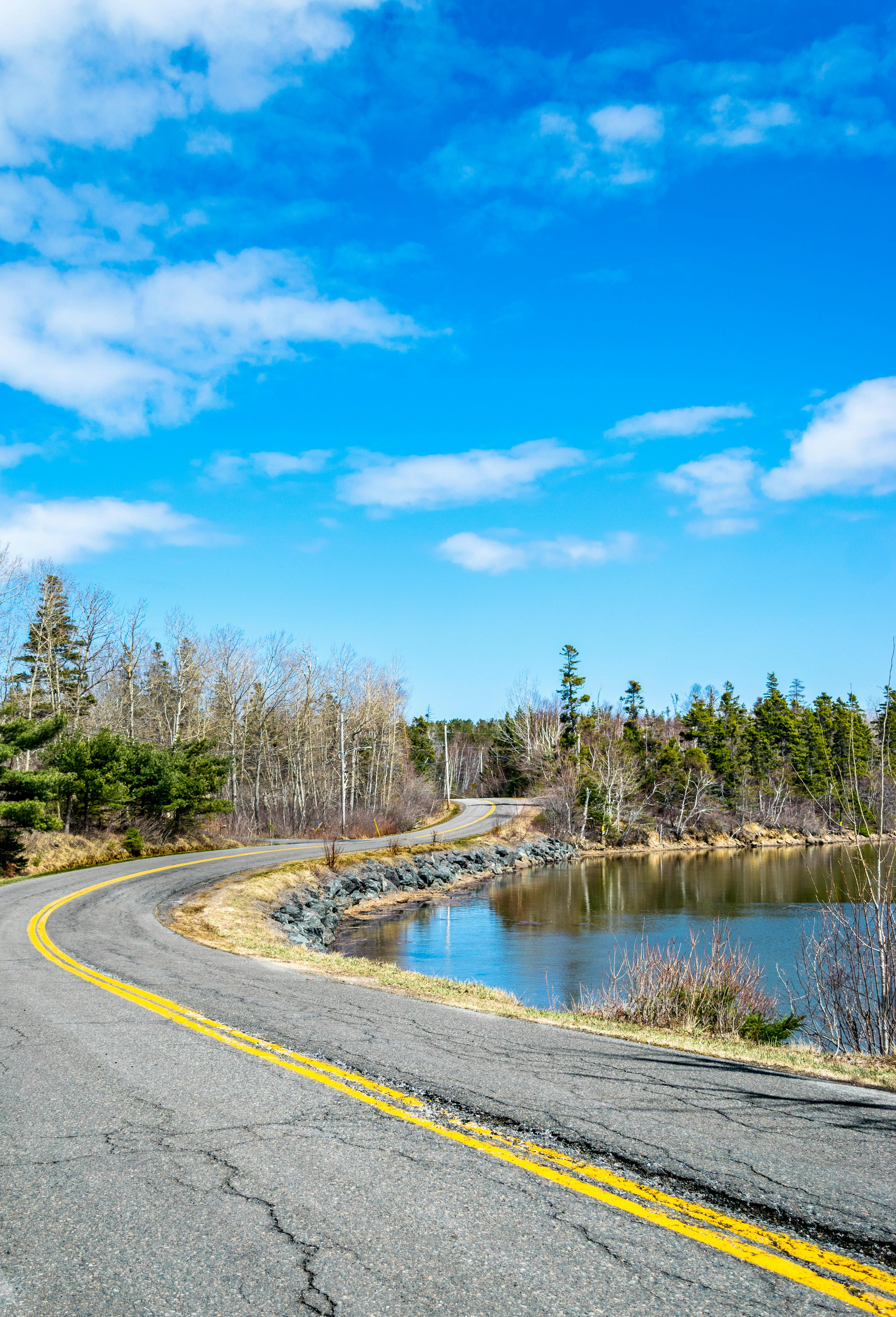 Road through Forest near Lake · Free Stock Photo