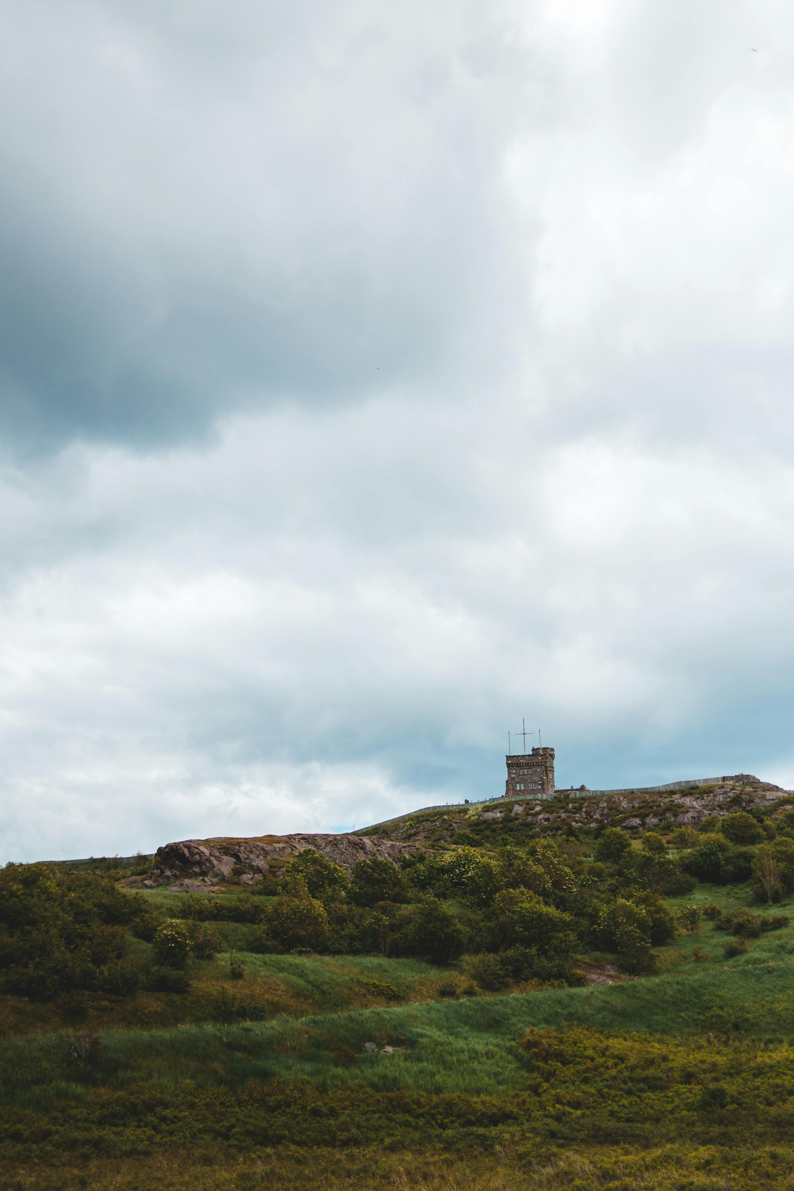 Top Day Photos, Download The BEST Free Top Day Stock Photos & HD Images