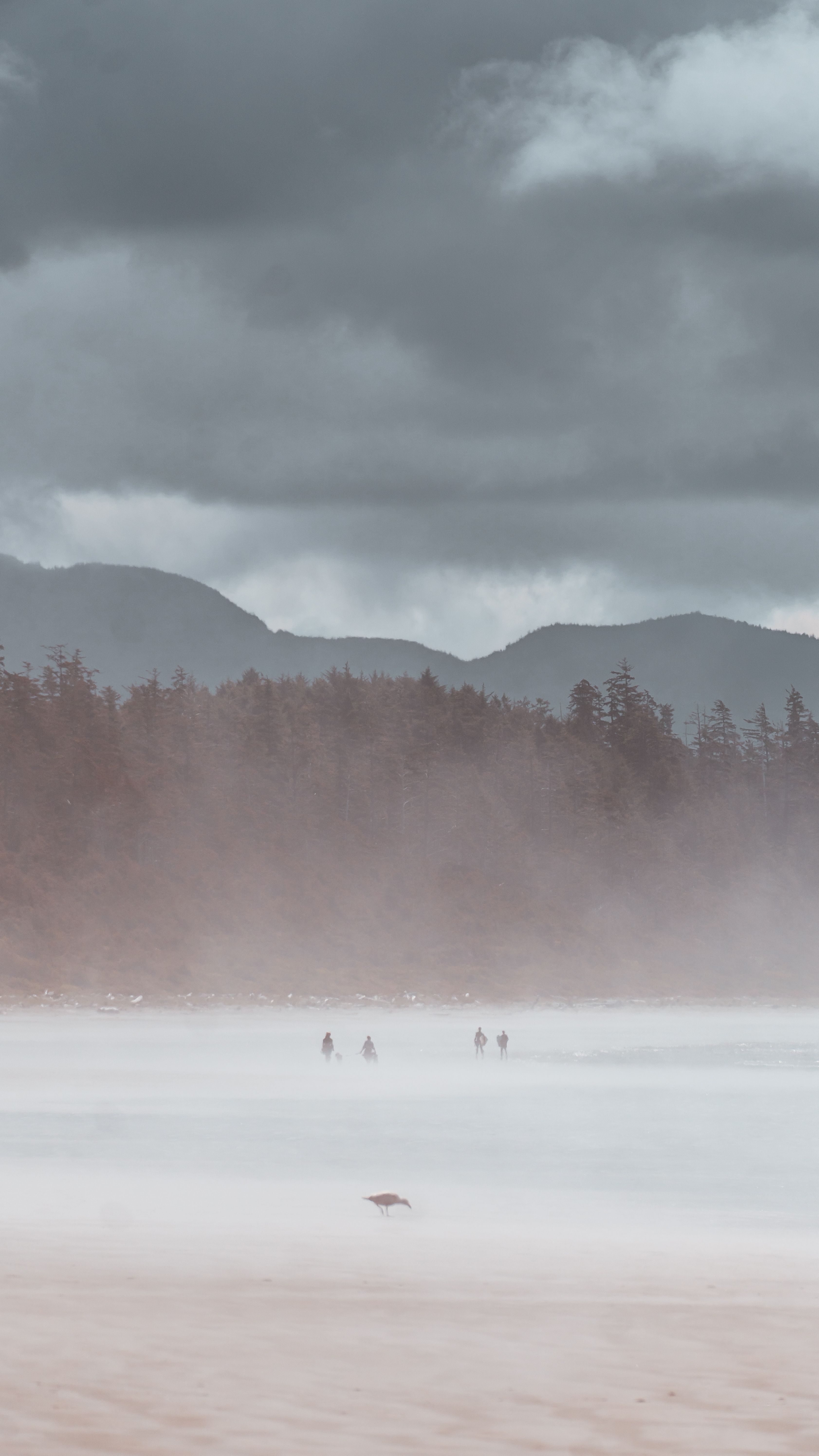 Overcast over Mountains, Forest and Lake · Free Stock Photo