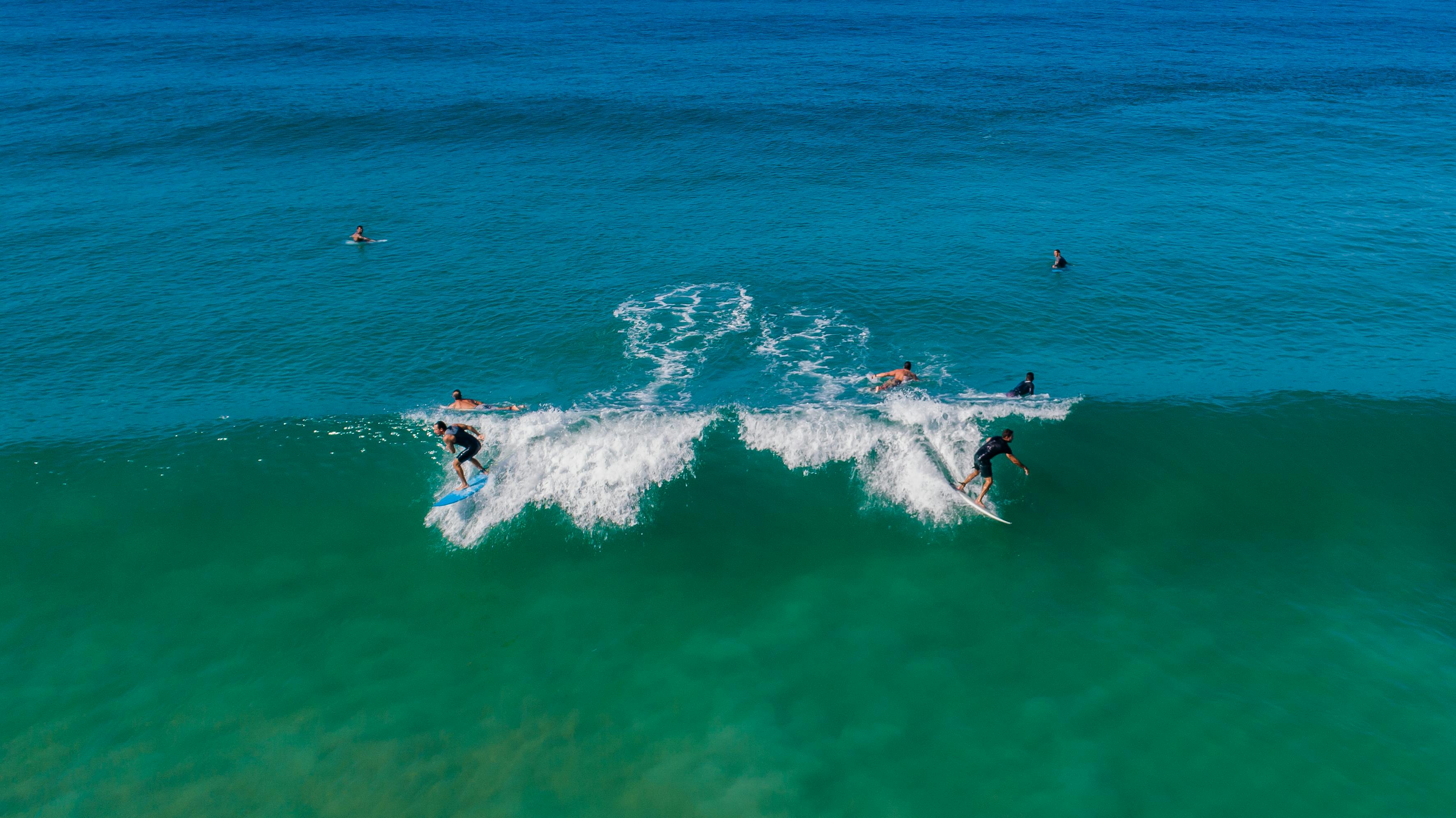 Surfers on Wave · Free Stock Photo