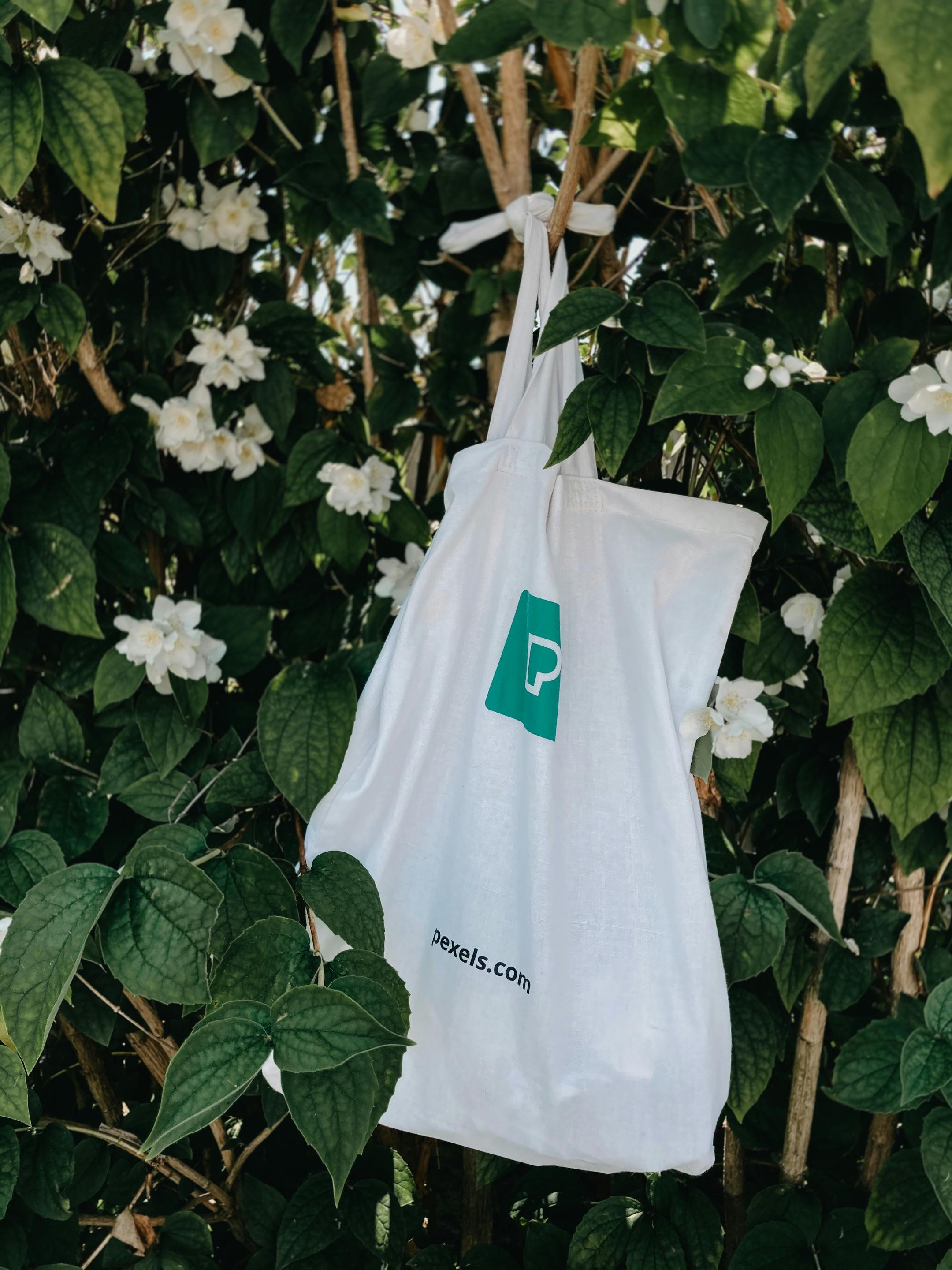 Cotton bag hanging on tree · Free Stock Photo