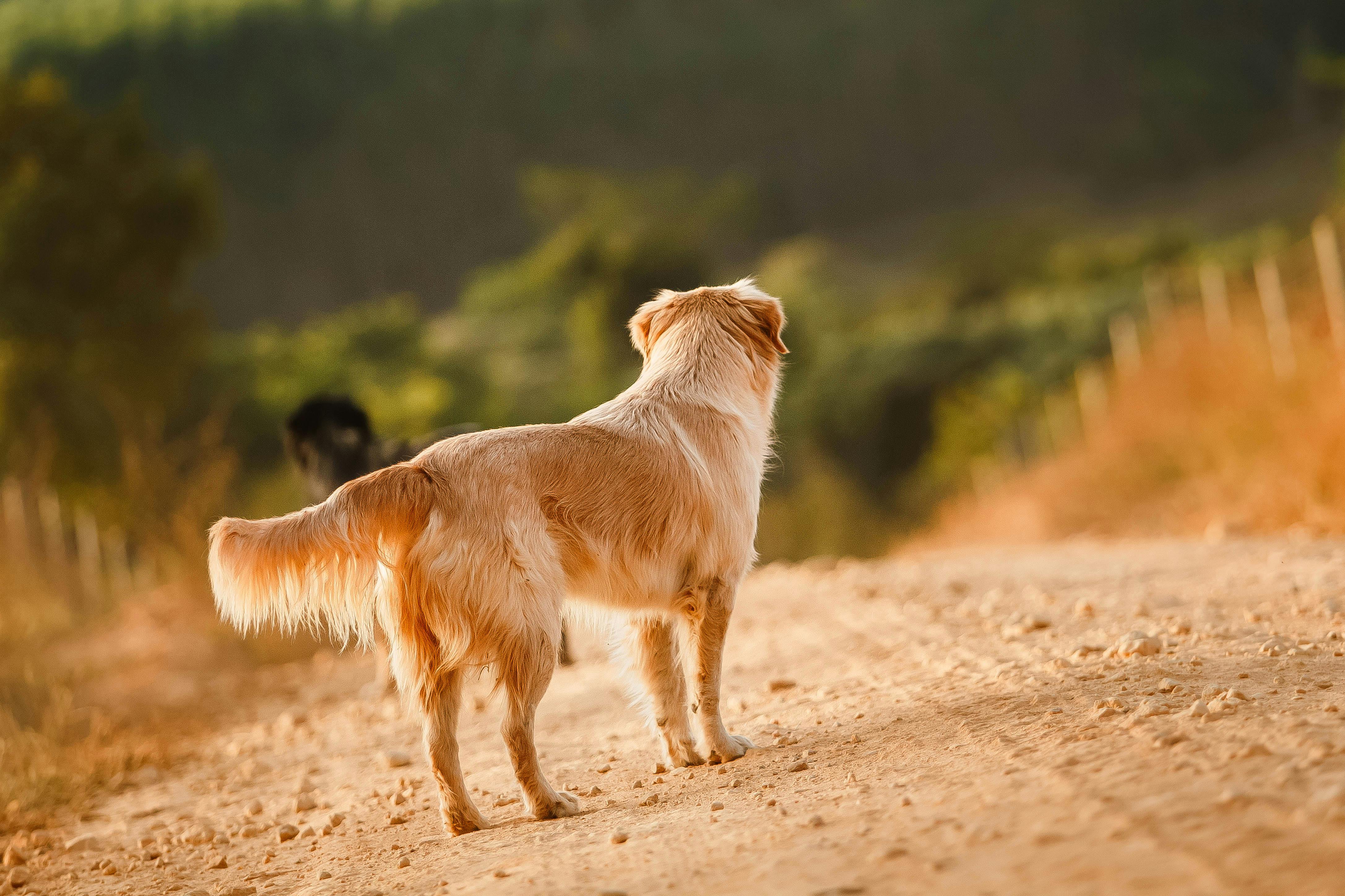 Citation Background Photos, Download The BEST Free Citation Background ...