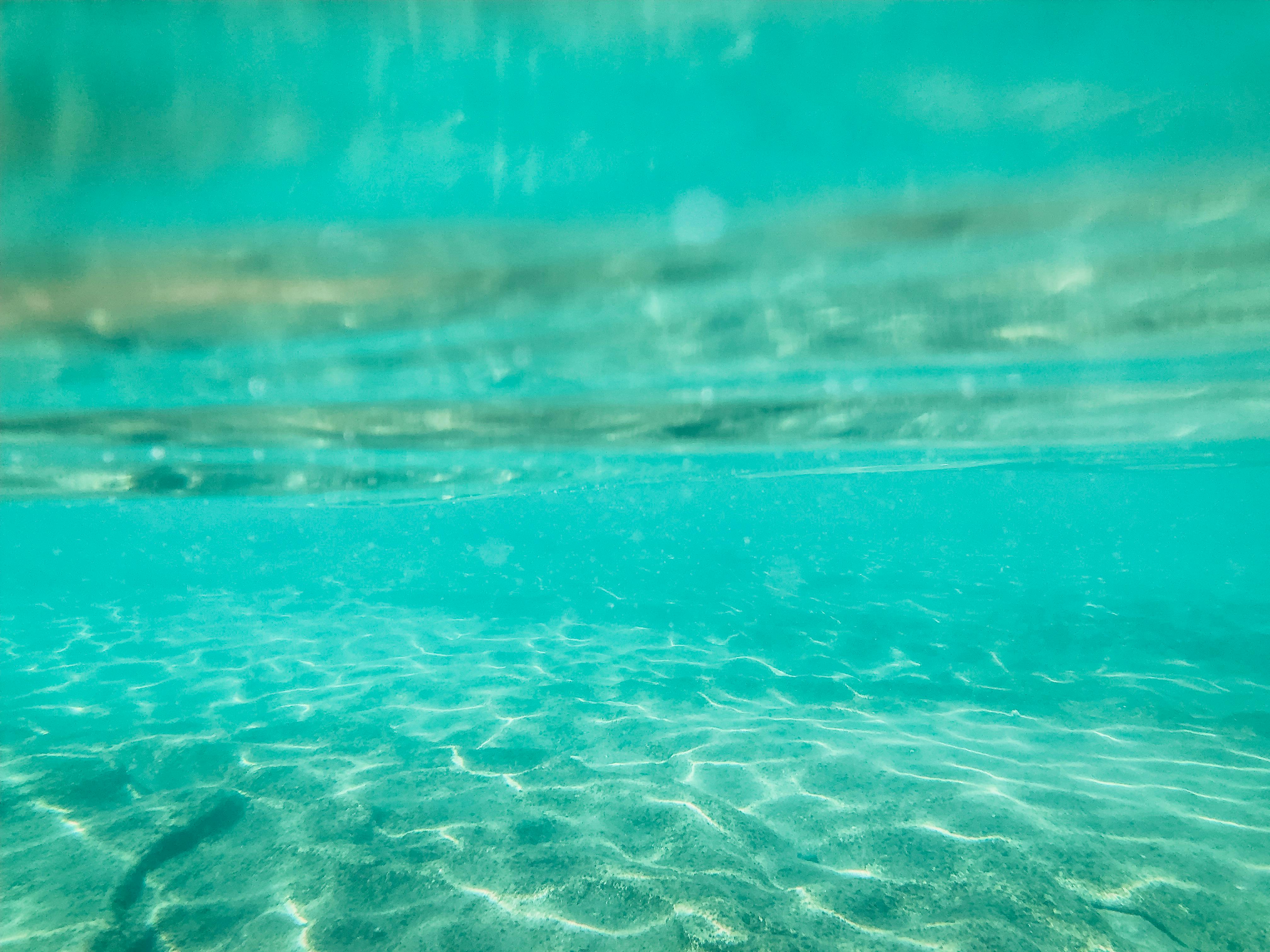 Blue Ocean with Clear Water · Free Stock Photo