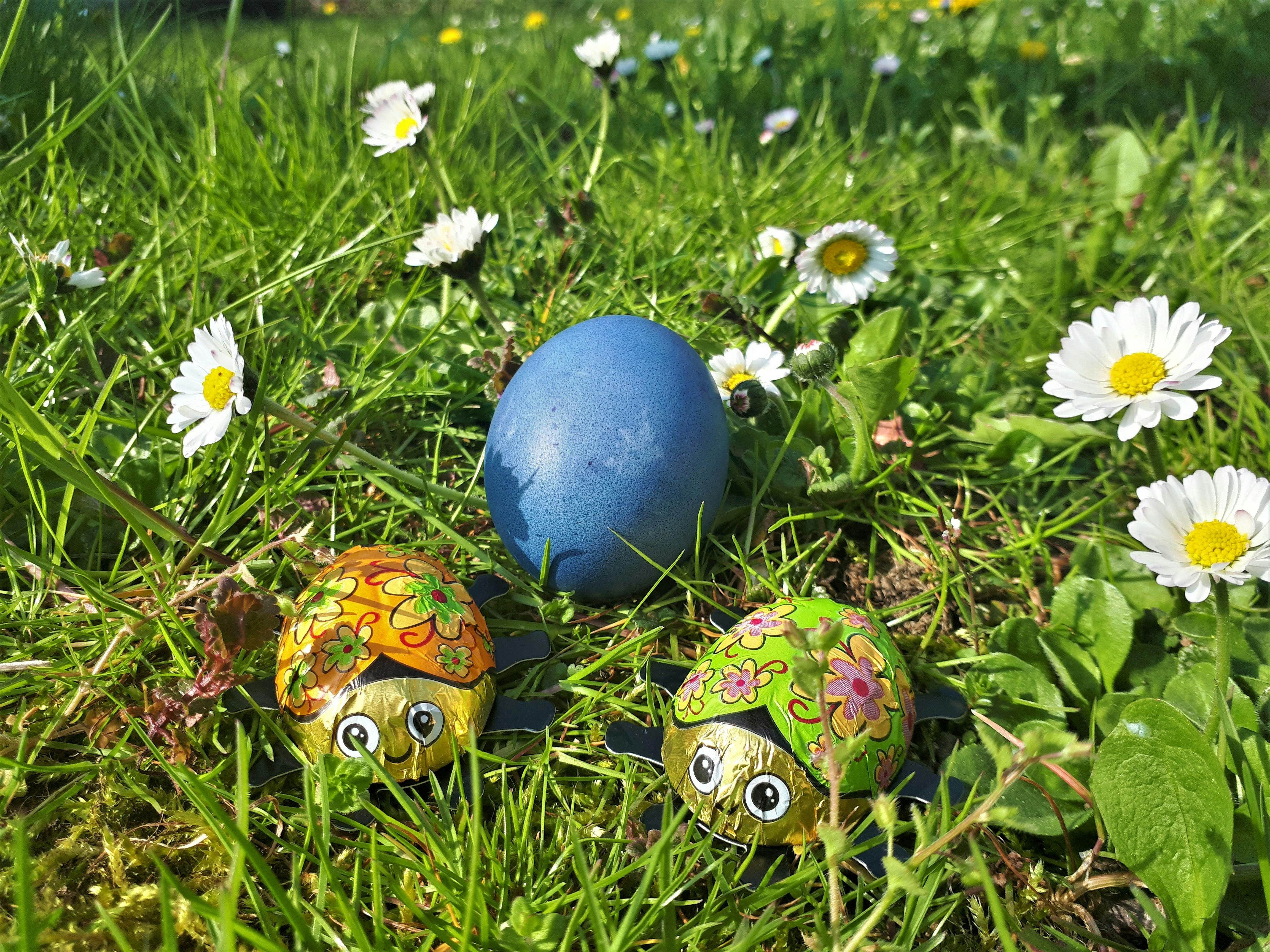 Marc Linder - 사진