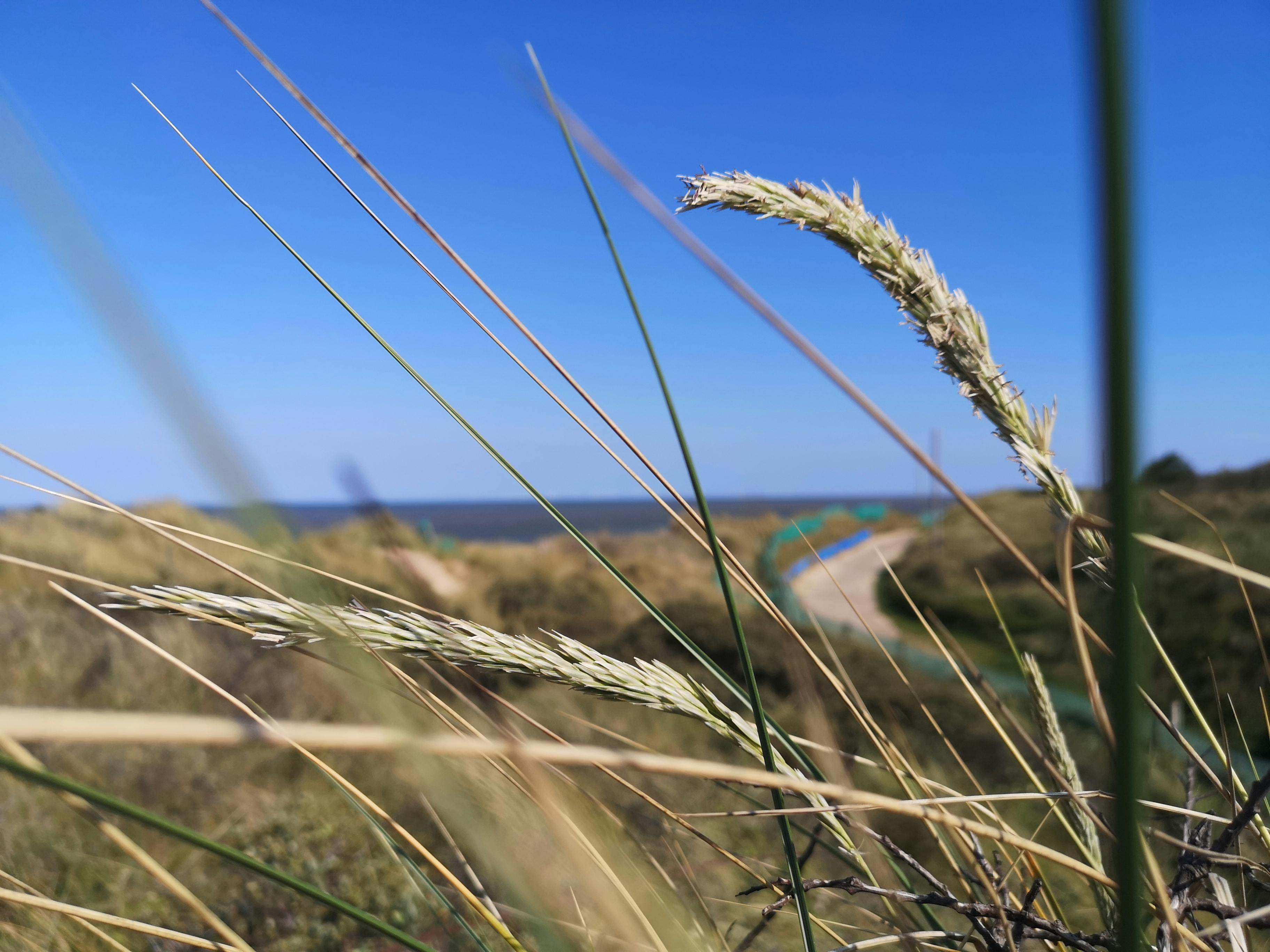 Toby Hammond – fotografia