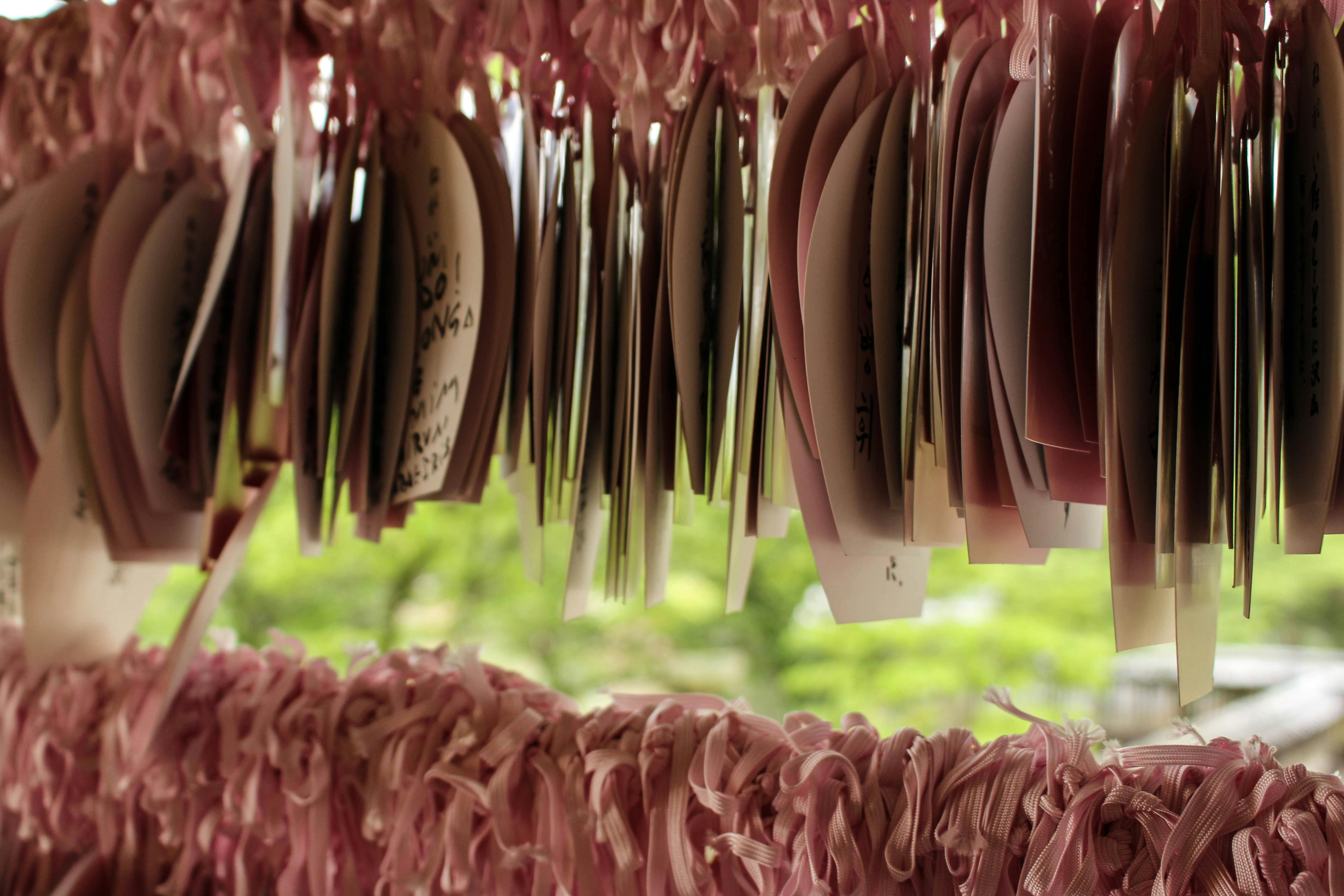 Cards with Prayers · Free Stock Photo